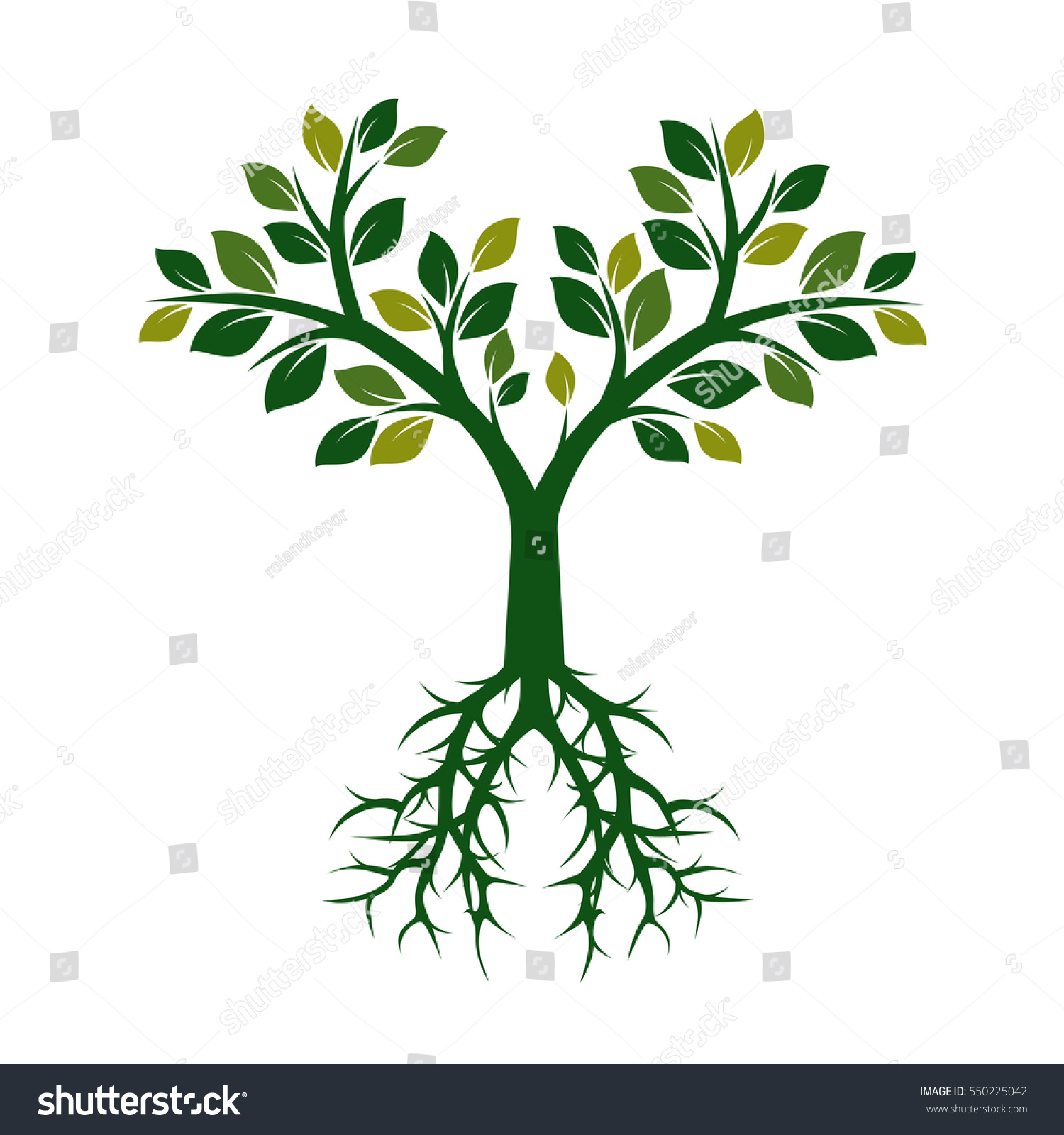 Green Tree Roots Vector Illustration: เวกเตอร์สต็อก (ปลอดค่าลิขสิทธิ์ ...