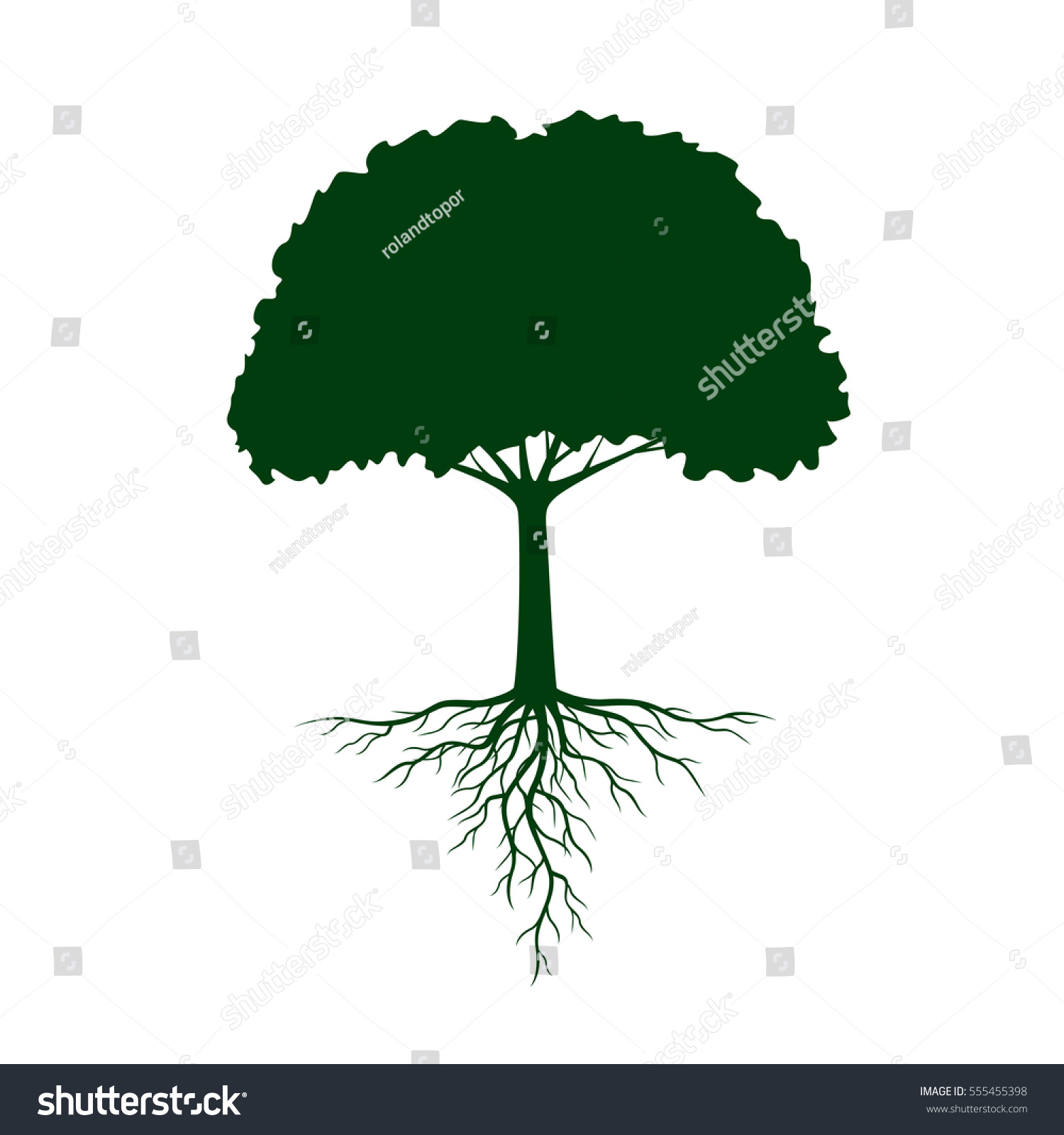 Green Tree Roots Vector Illustration: vector de stock (libre de ...