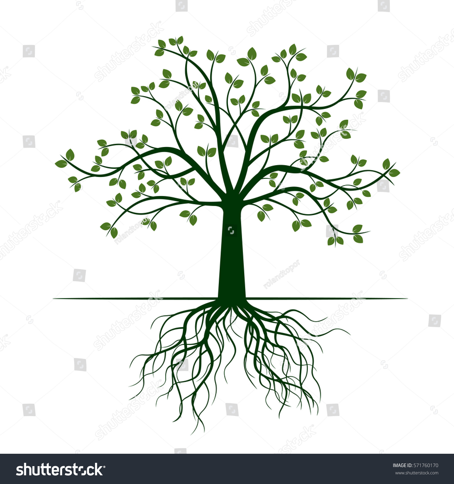 Green Tree Roots Vector Illustration Stock Vector (Royalty Free ...