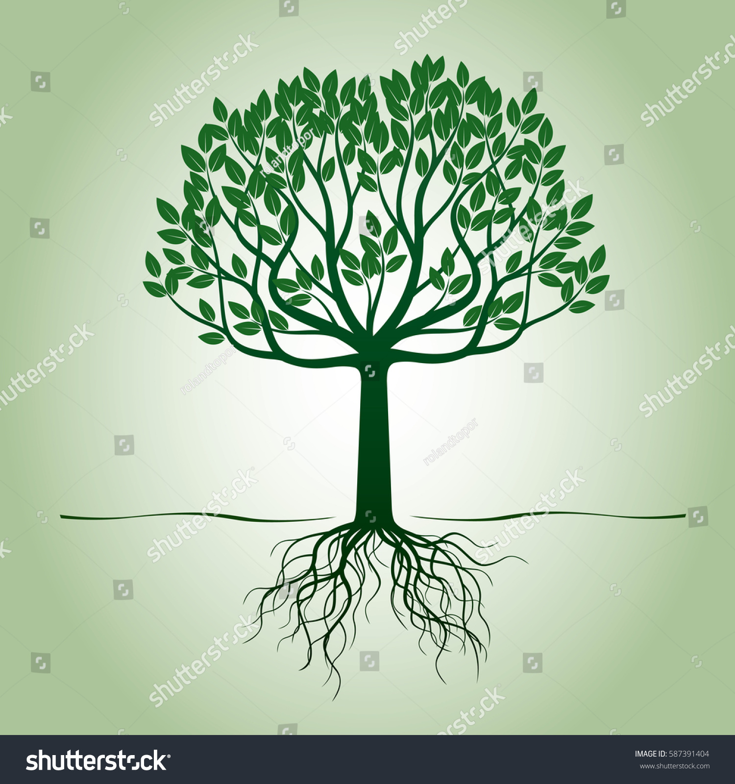 Green Tree Roots Vector Illustration Stock Vector (Royalty Free ...