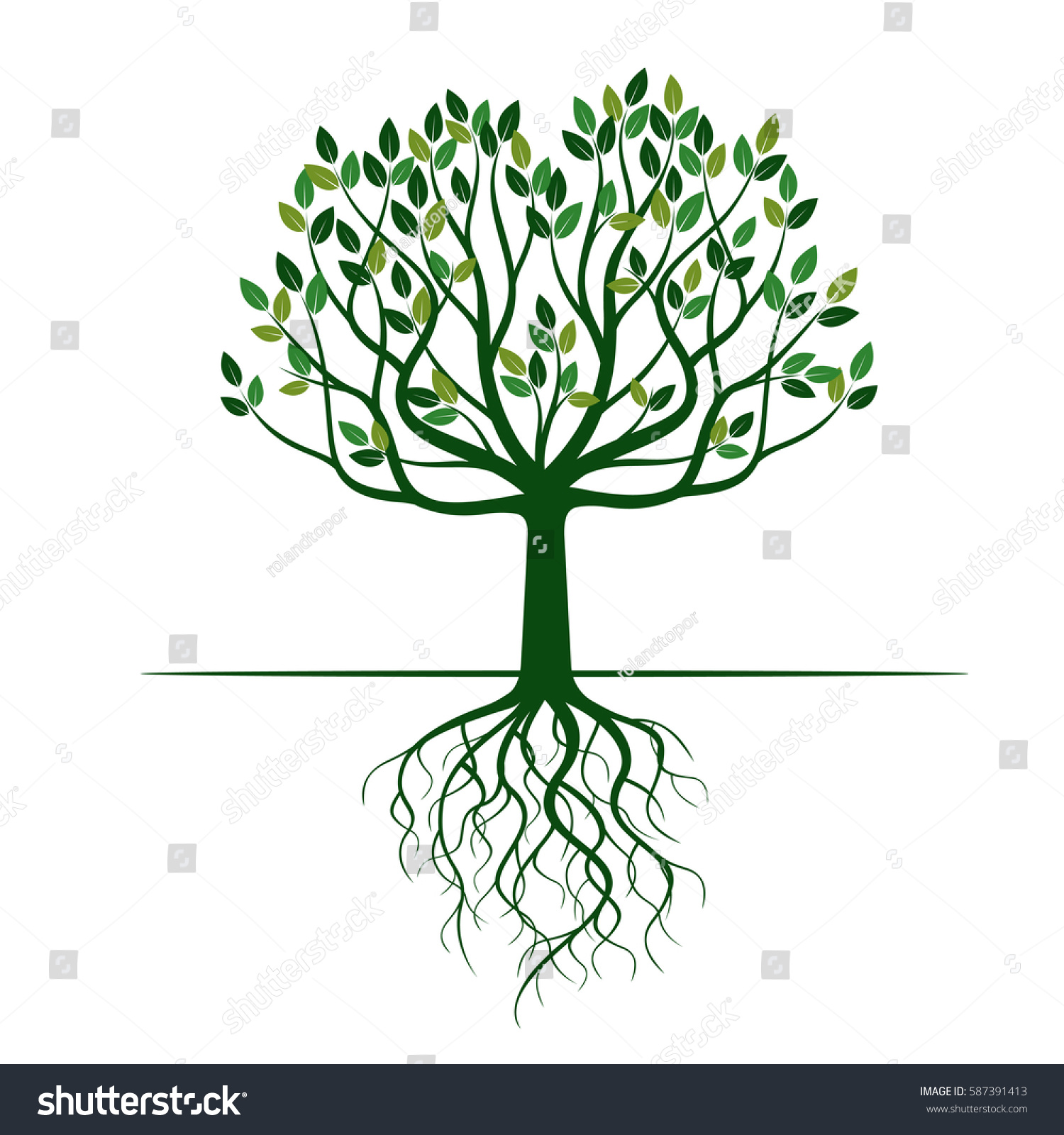 Green Tree Roots Vector Illustration: เวกเตอร์สต็อก (ปลอดค่าลิขสิทธิ์ ...