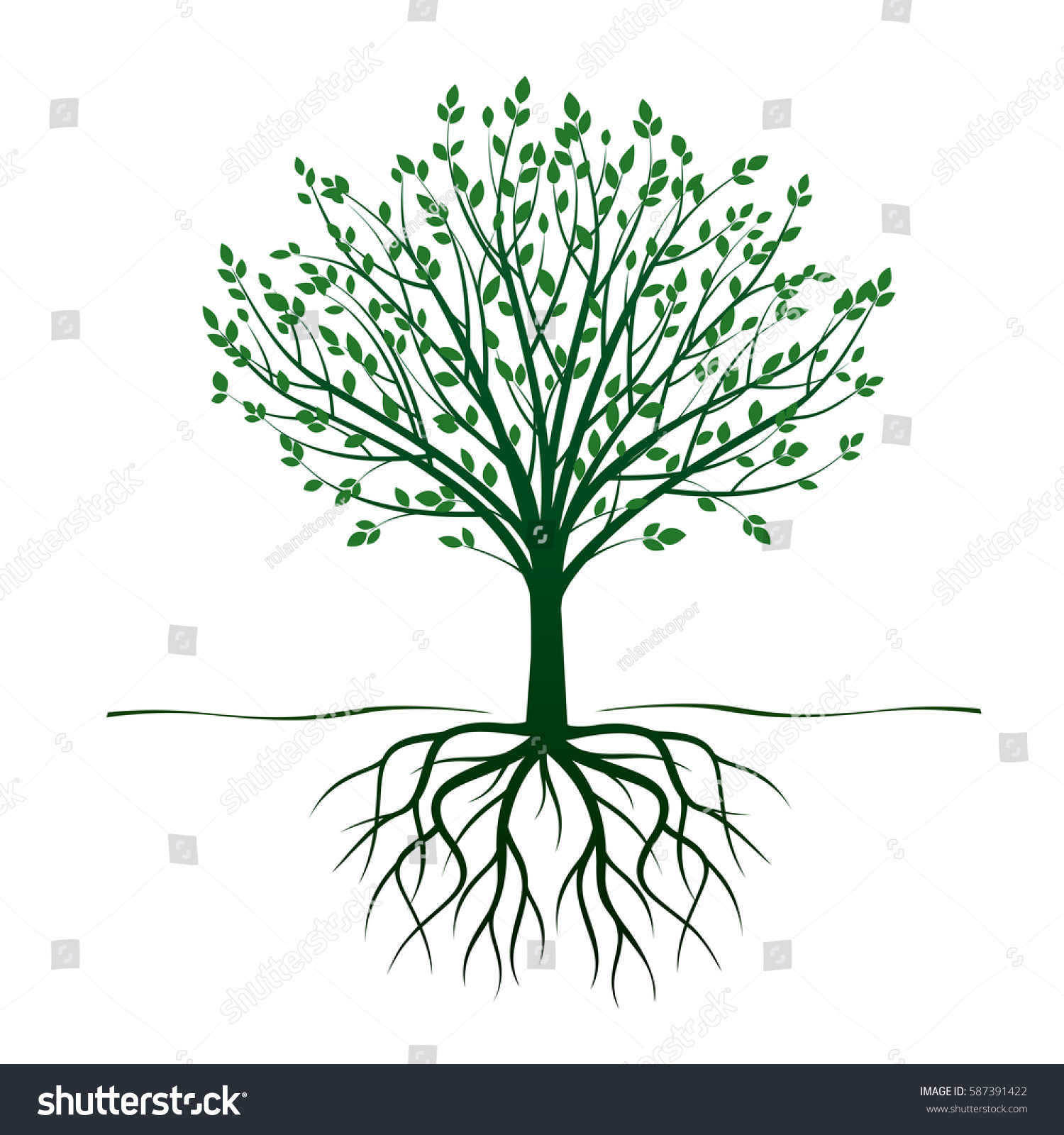 Green Tree Roots Vector Illustration: เวกเตอร์สต็อก (ปลอดค่าลิขสิทธิ์ ...
