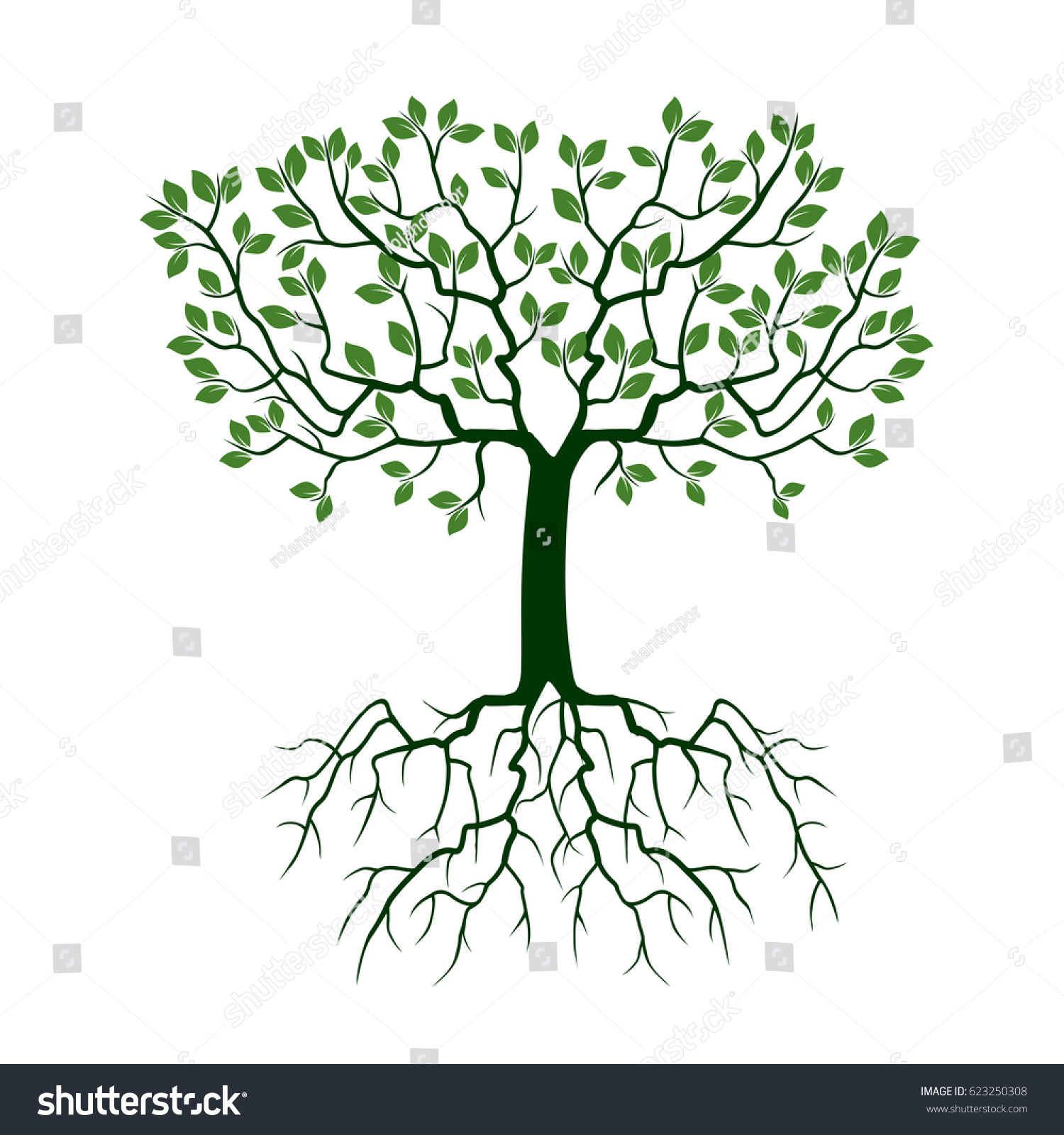 Green Tree Roots Vector Illustration 库存矢量图（免版税）623250308 | Shutterstock