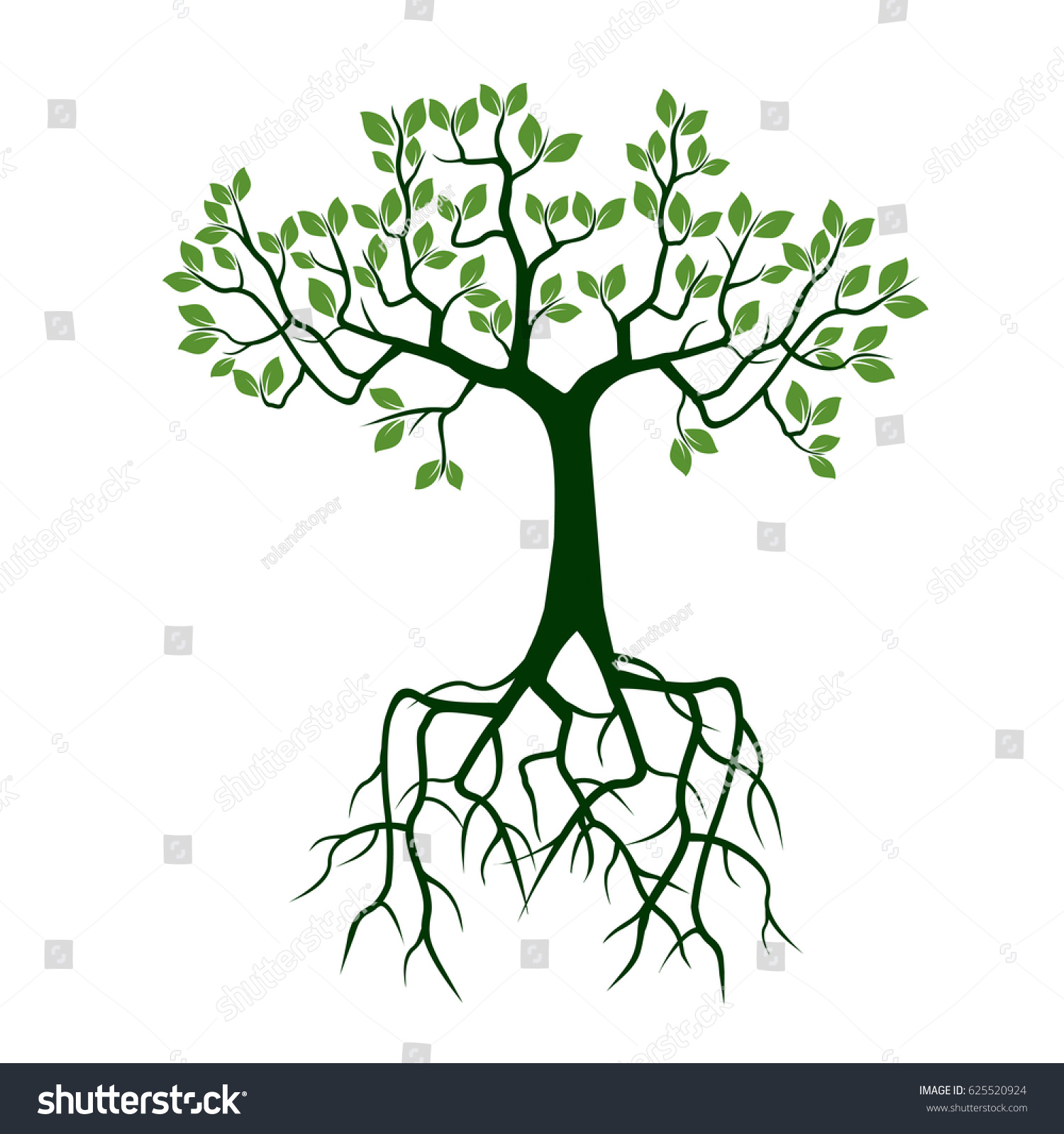Green Tree Roots Vector Illustration Stock Vector (Royalty Free) 625520924