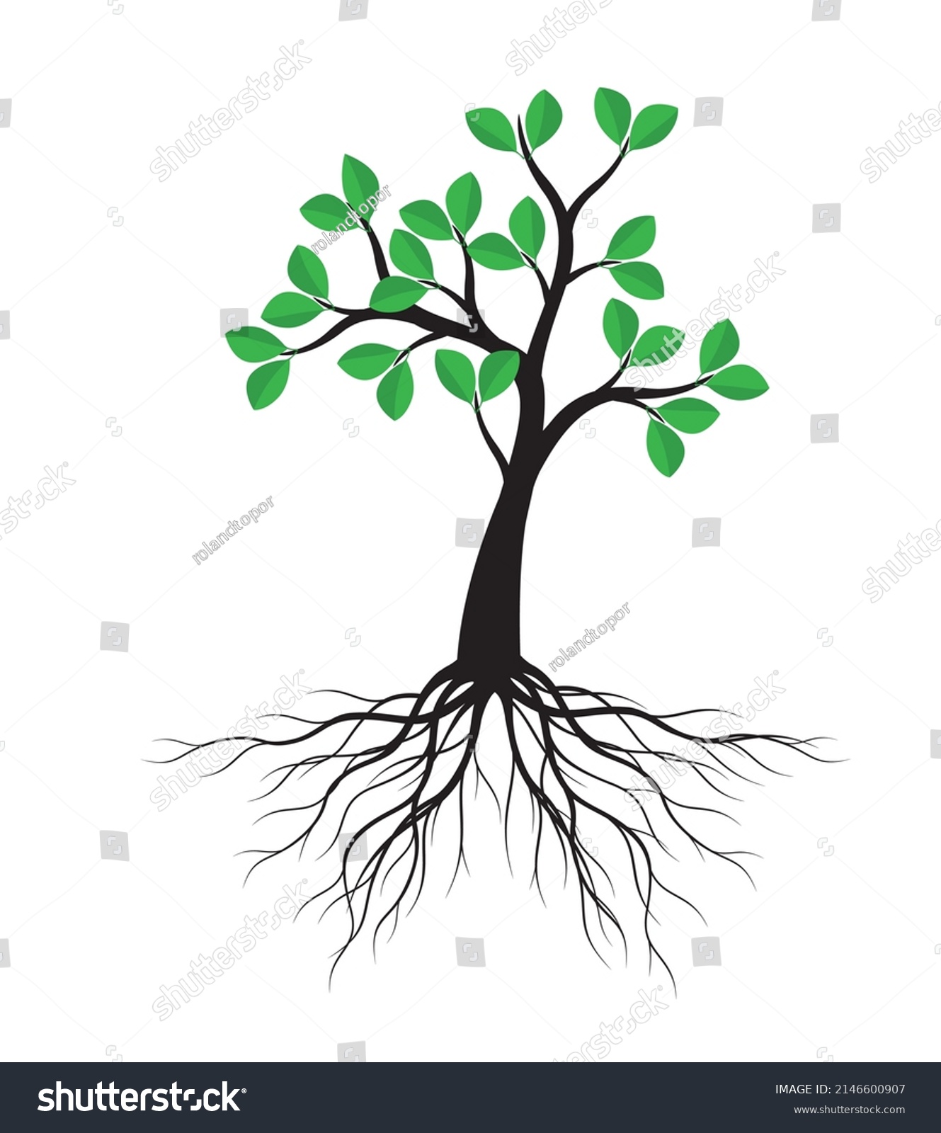Green Tree Roots Vector Outline Illustration Stock Vector (Royalty Free ...
