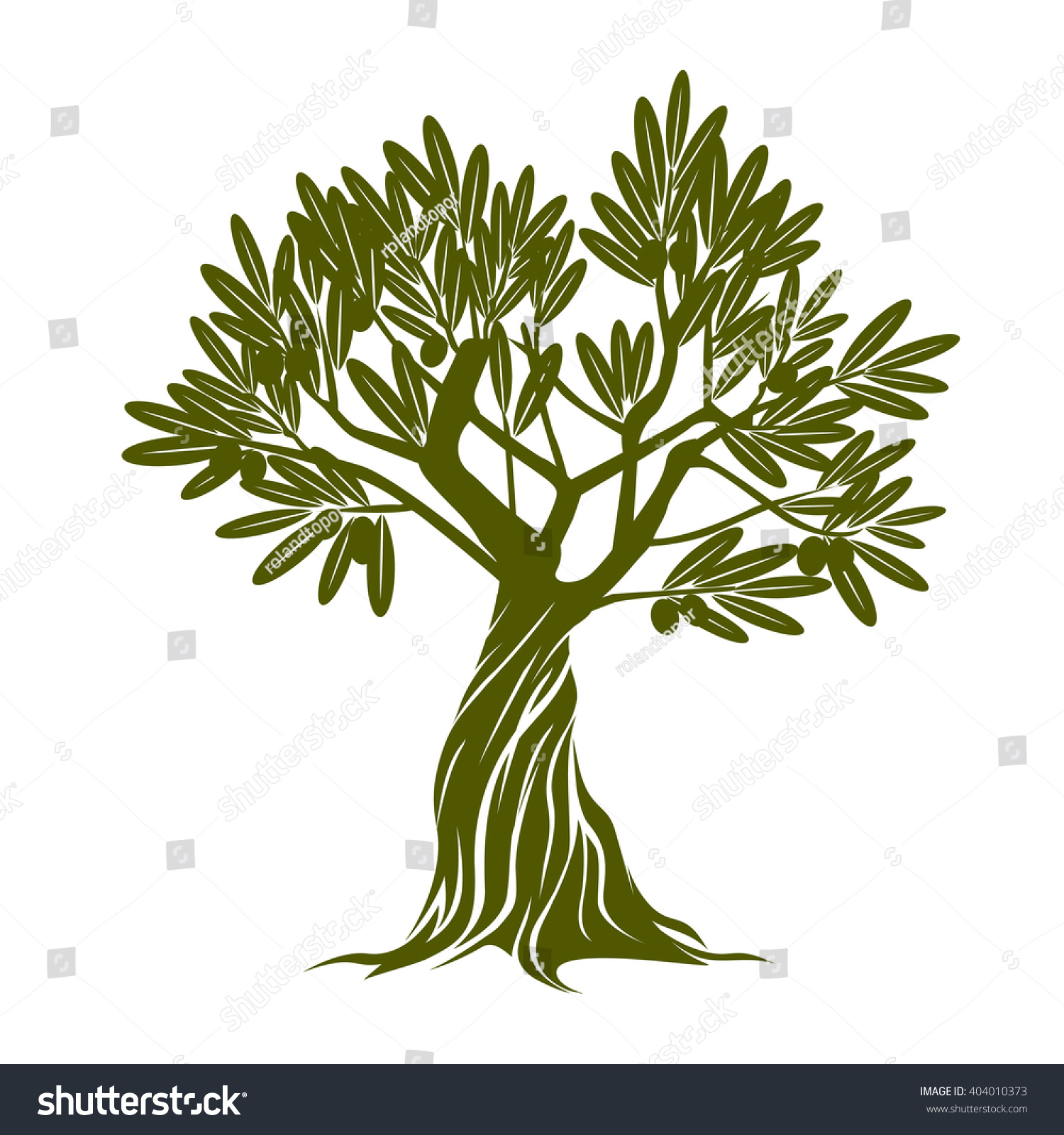 Green Vector Olive Tree Illustration Graphic Stock Vector (Royalty Free ...
