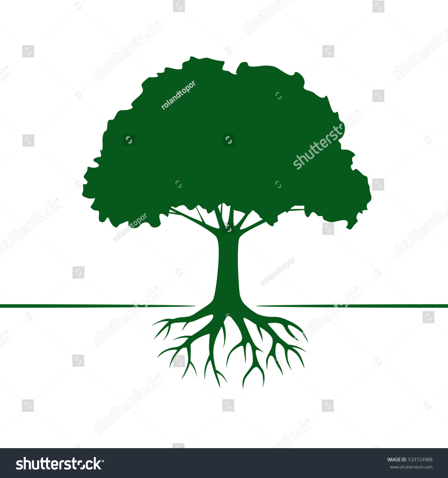 Green Vector Tree Roots Vector Illustration Stock Vector (Royalty Free ...