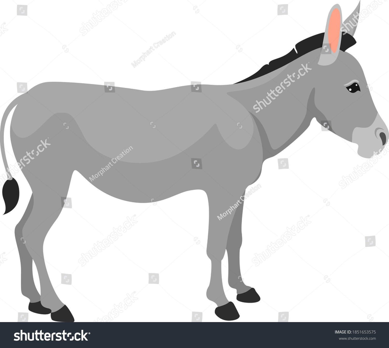 Grey Donkey Illustration Vector On White Stock Vector (Royalty Free ...