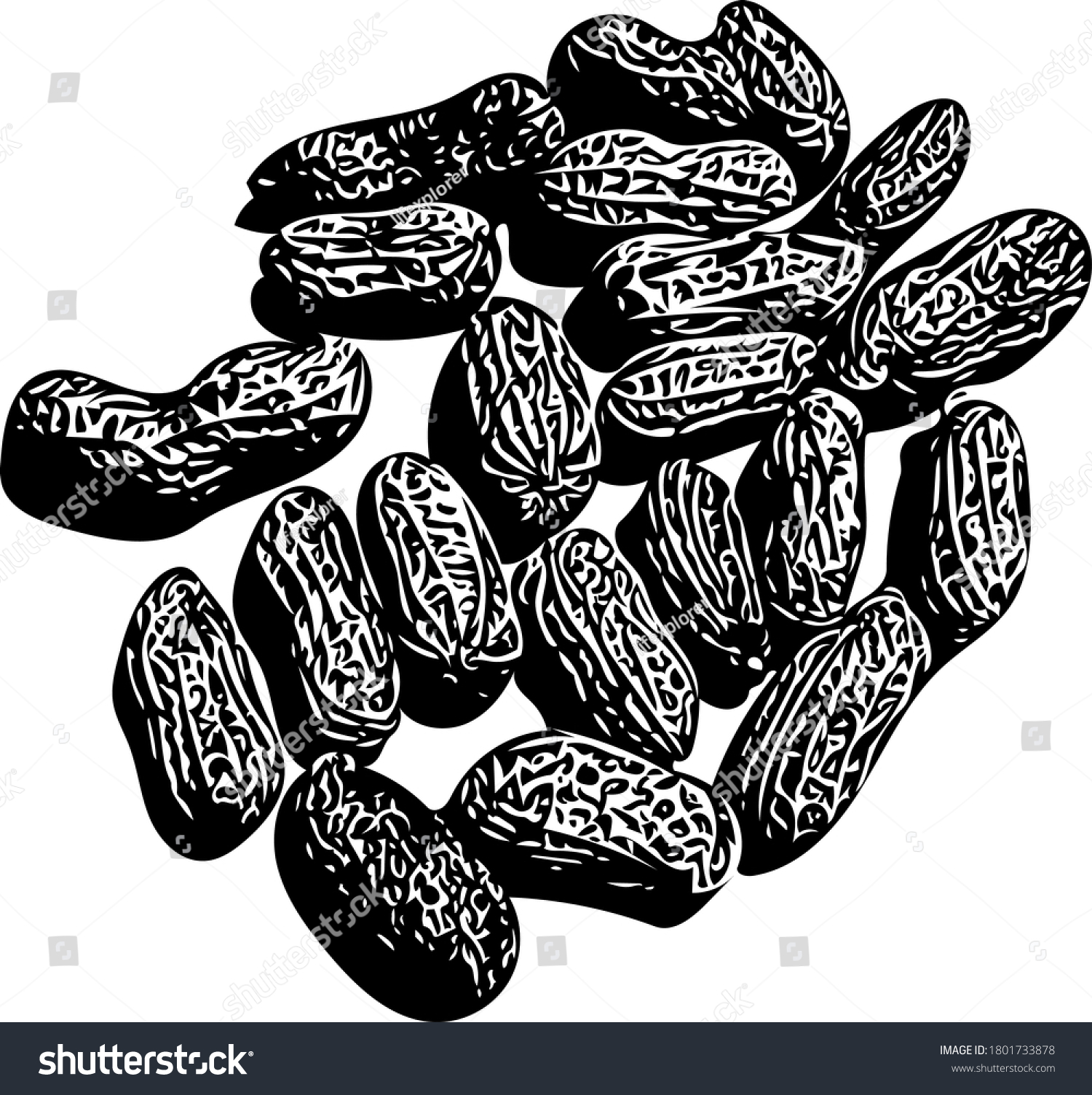 Grupo de vectores de cacahuete: vector de stock (libre de regalías ...