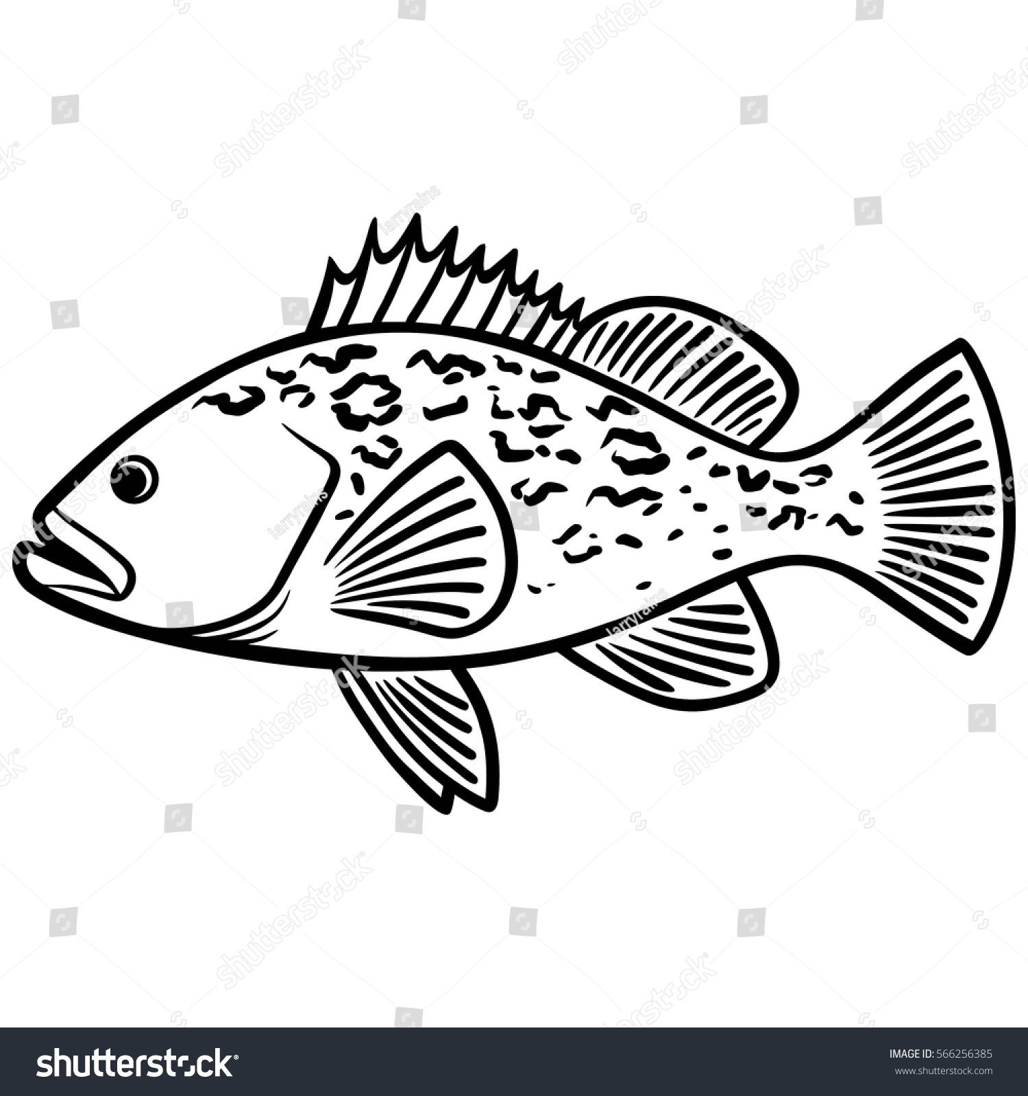 Grouper Fish Illustration 스톡 벡터(로열티 프리) 566256385