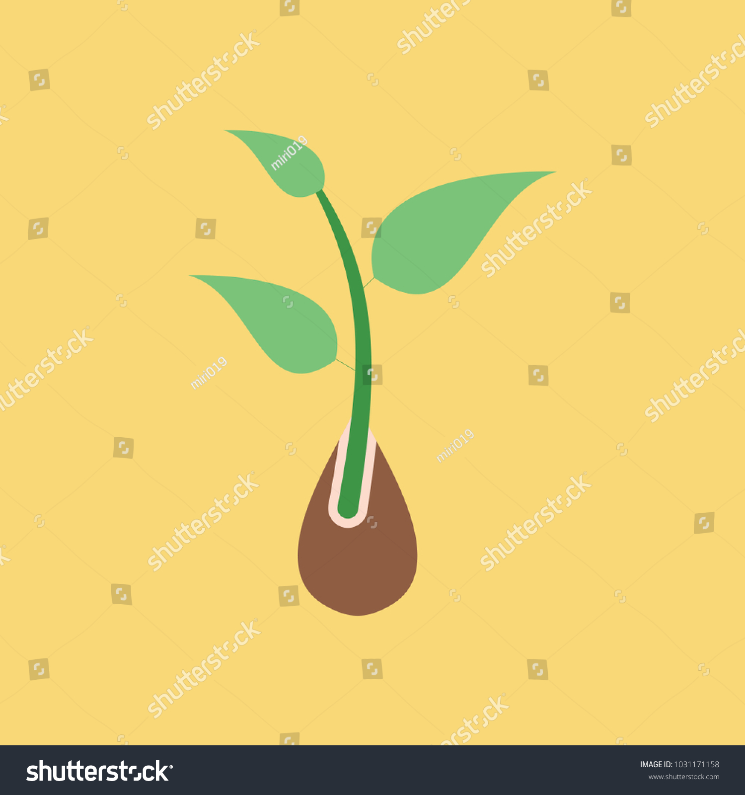 Growing Seed Icon Stock Vector (Royalty Free) 1031171158