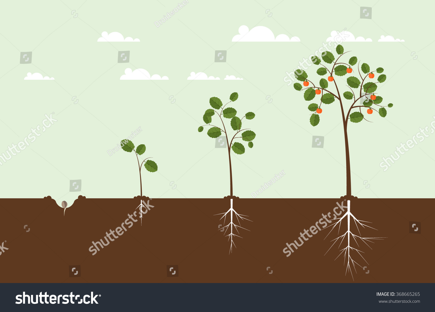 Growing Tree Illustration Stock Vector (Royalty Free) 368665265