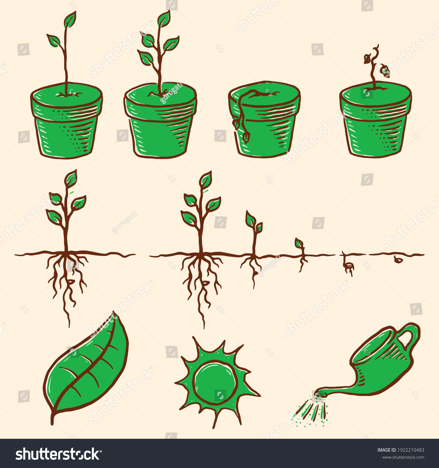 Growth Stages Tree Handrawn Vector: เวกเตอร์สต็อก (ปลอดค่าลิขสิทธิ์ ...