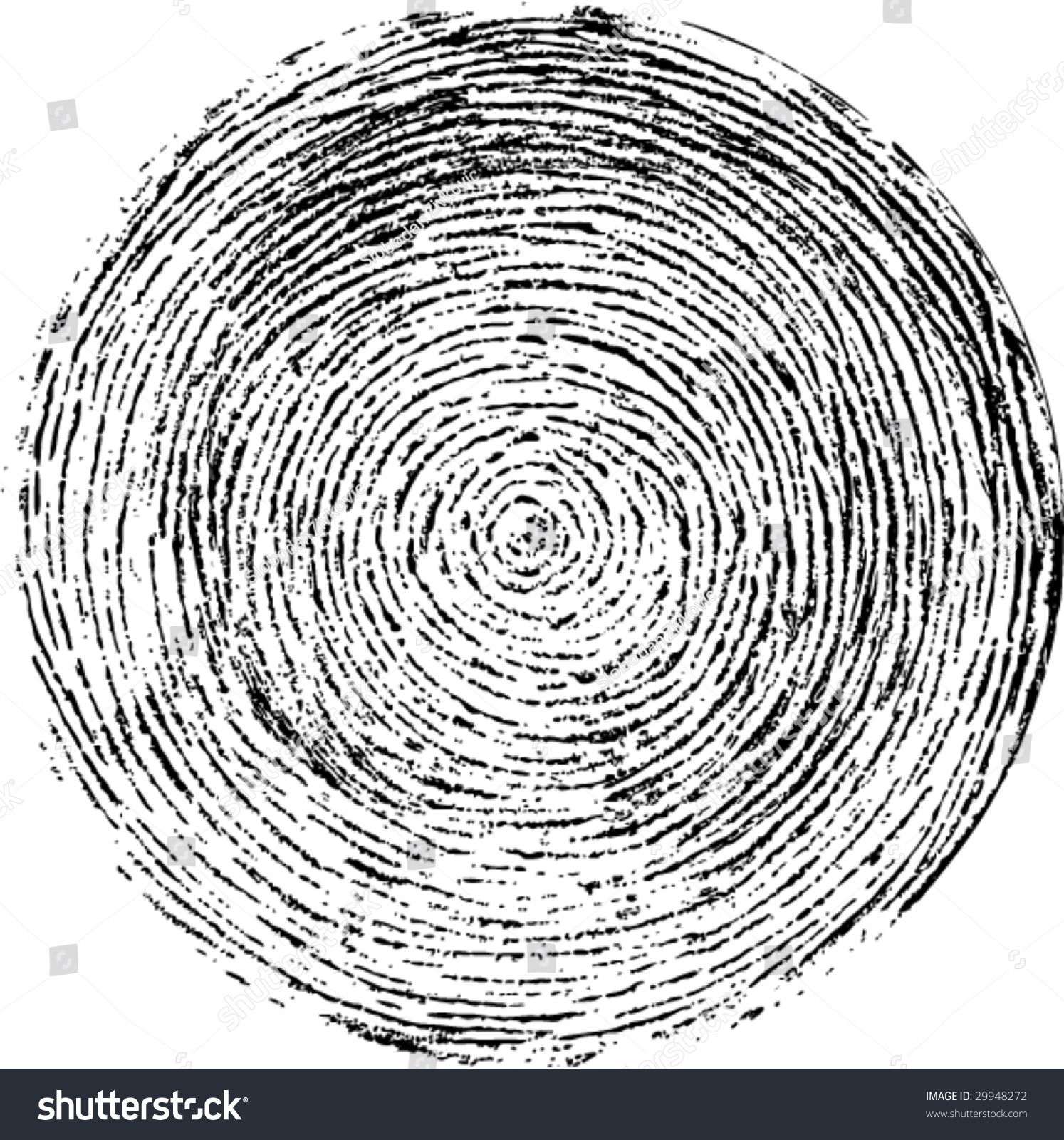 Grunge Spiral Lines Stock Vector Illustration 29948272 : Shutterstock
