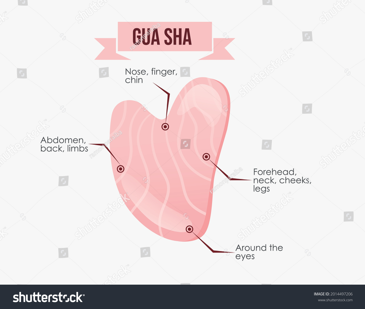 Gua Sha Stone Infographic Vector Illustration Stock Vector (Royalty ...
