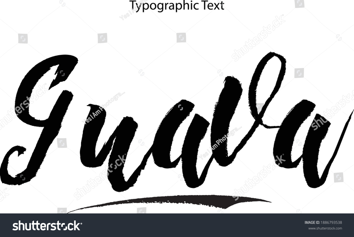 Guava Bold Brush Calligraphy Text Phrase Stock Vector (Royalty Free ...