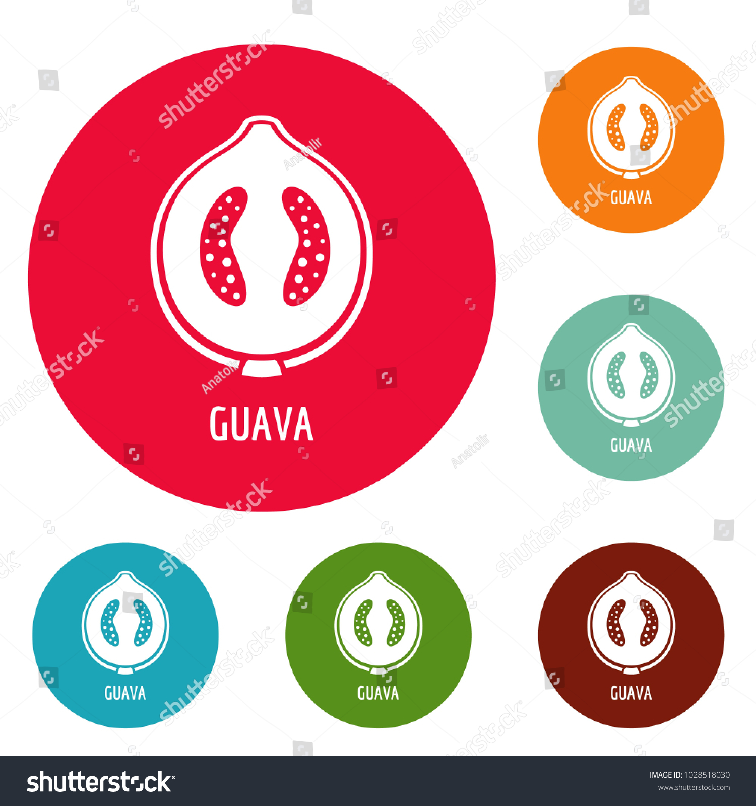 Guava Icons Circle Set Vector Isolated Stock Vector (Royalty Free ...