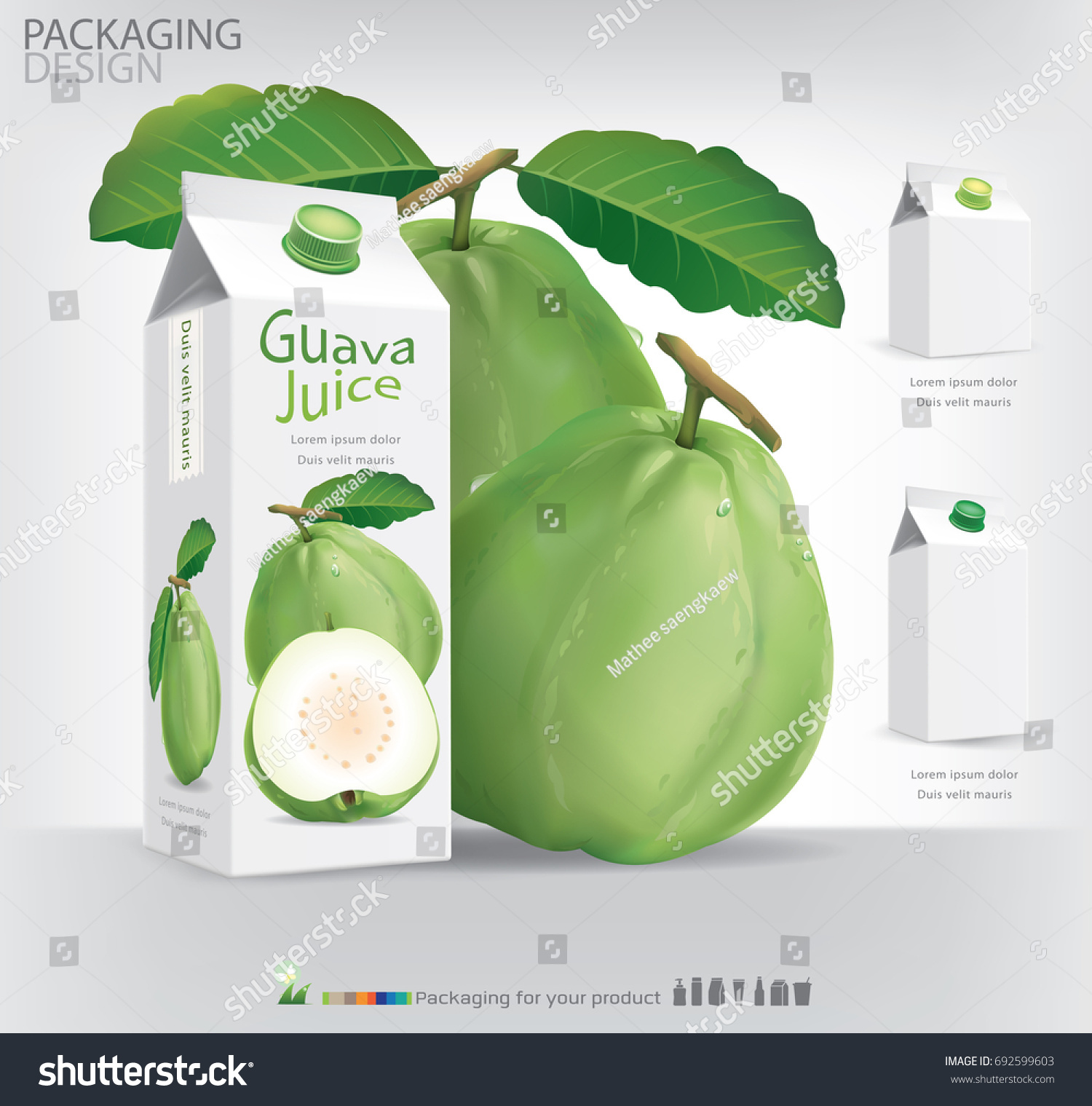 Guava Packaging Designillustration Stock Vector (Royalty Free) 692599603