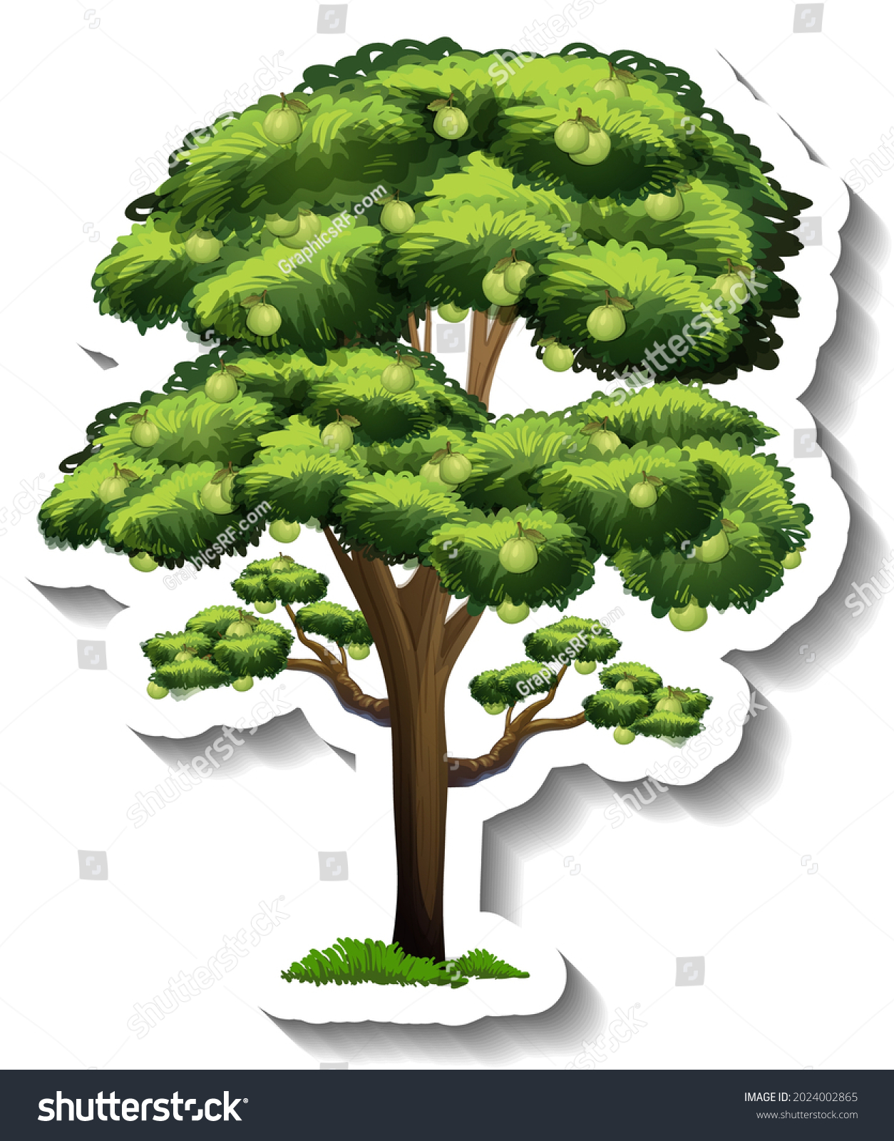 Guava Tree On Transparent Background Illustration Stock Vector (Royalty ...