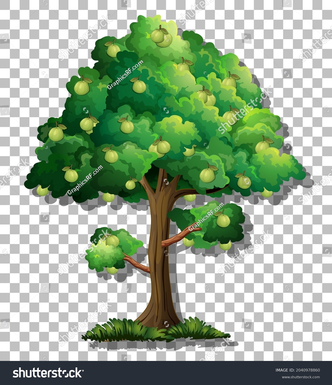 Árbol de guayaba en ilustración de: vector de stock (libre de regalías ...