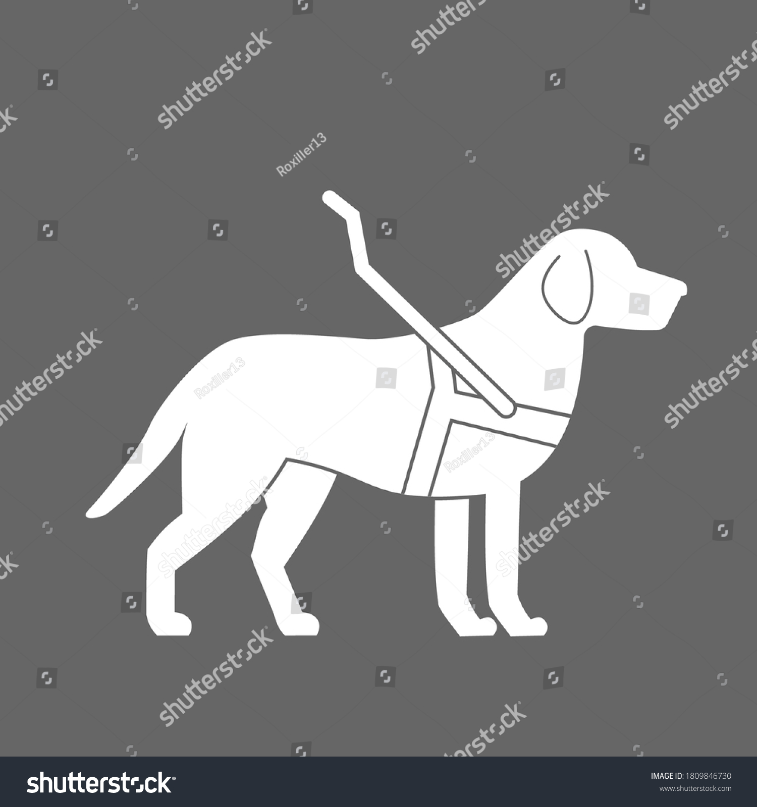 Guide Dog Icon Cane Day Stock Vector (Royalty Free) 1809846730 ...