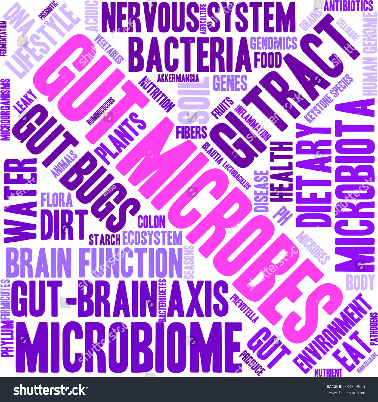 Gut Microbes Word Cloud On White Stock Vector (Royalty Free) 333329966 ...