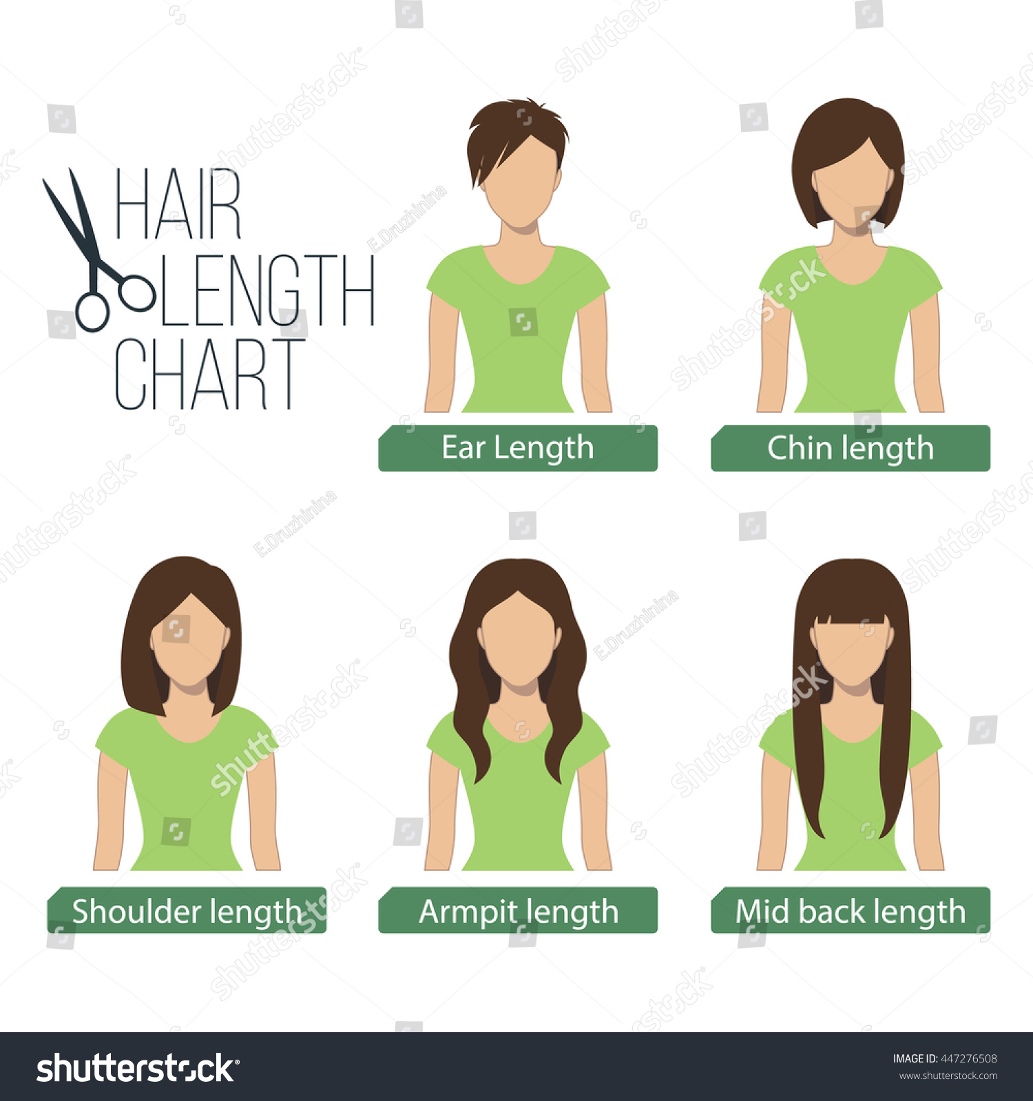 Hair Length Chart Front View Vector: стоковая векторная графика (без ...