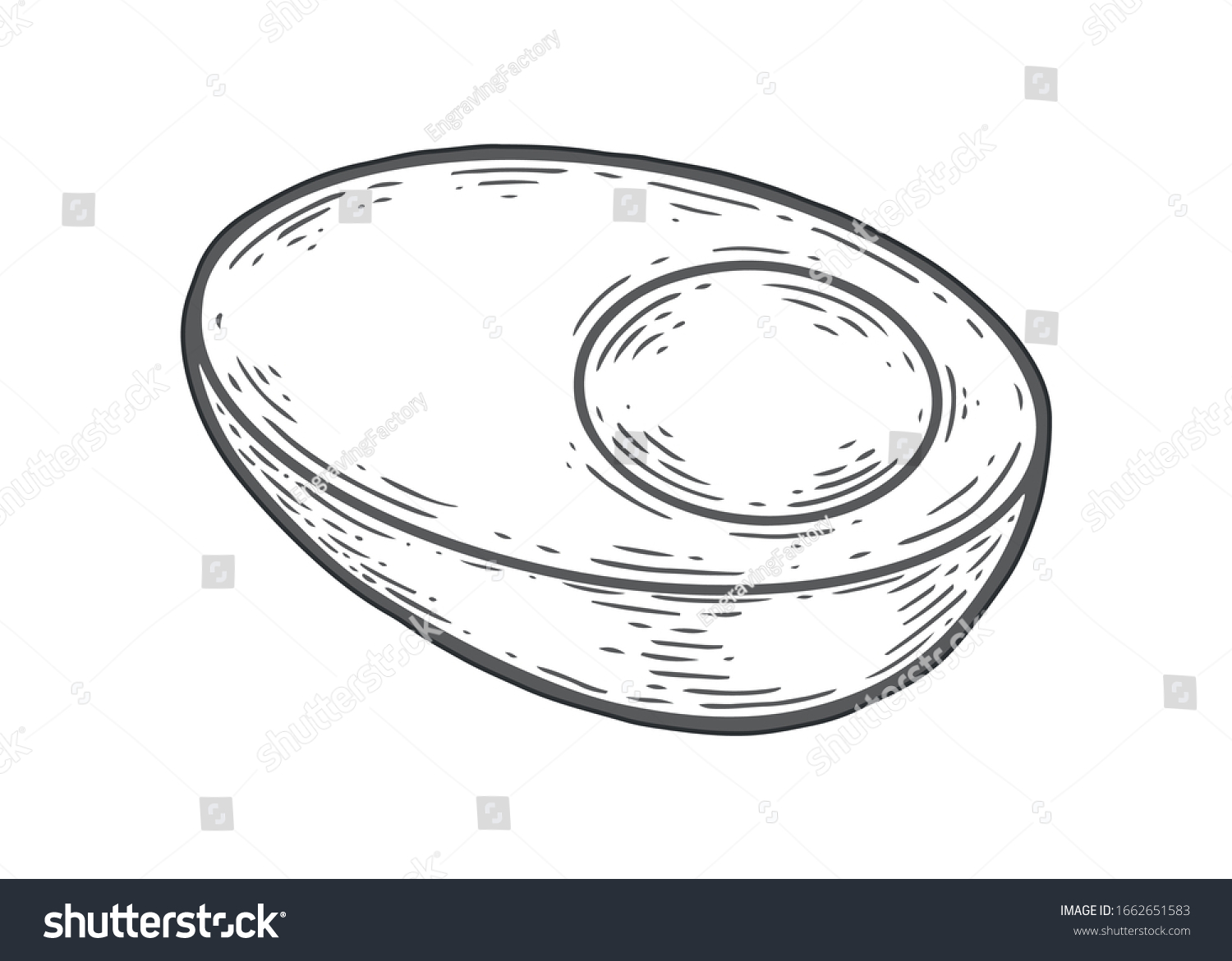Half Egg Sketch Vector Illustration Stock Vector (Royalty Free) 1662651583
