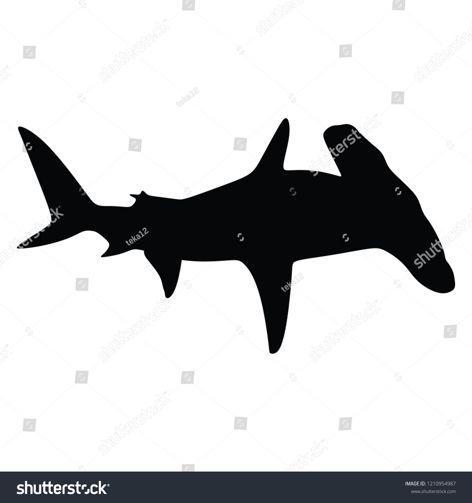 Hammerhead Shark Vector: vector de stock (libre de regalías) 1210954987 ...
