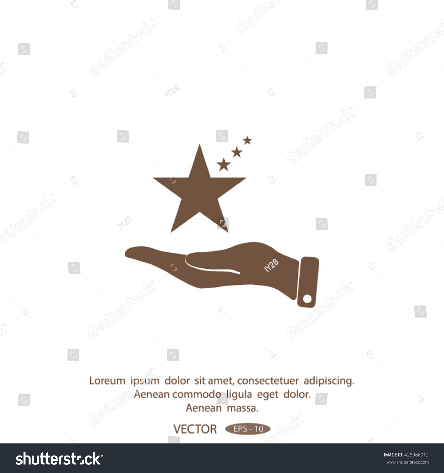 Hand Star Vector Icon Stock Vector (Royalty Free) 428986912 | Shutterstock