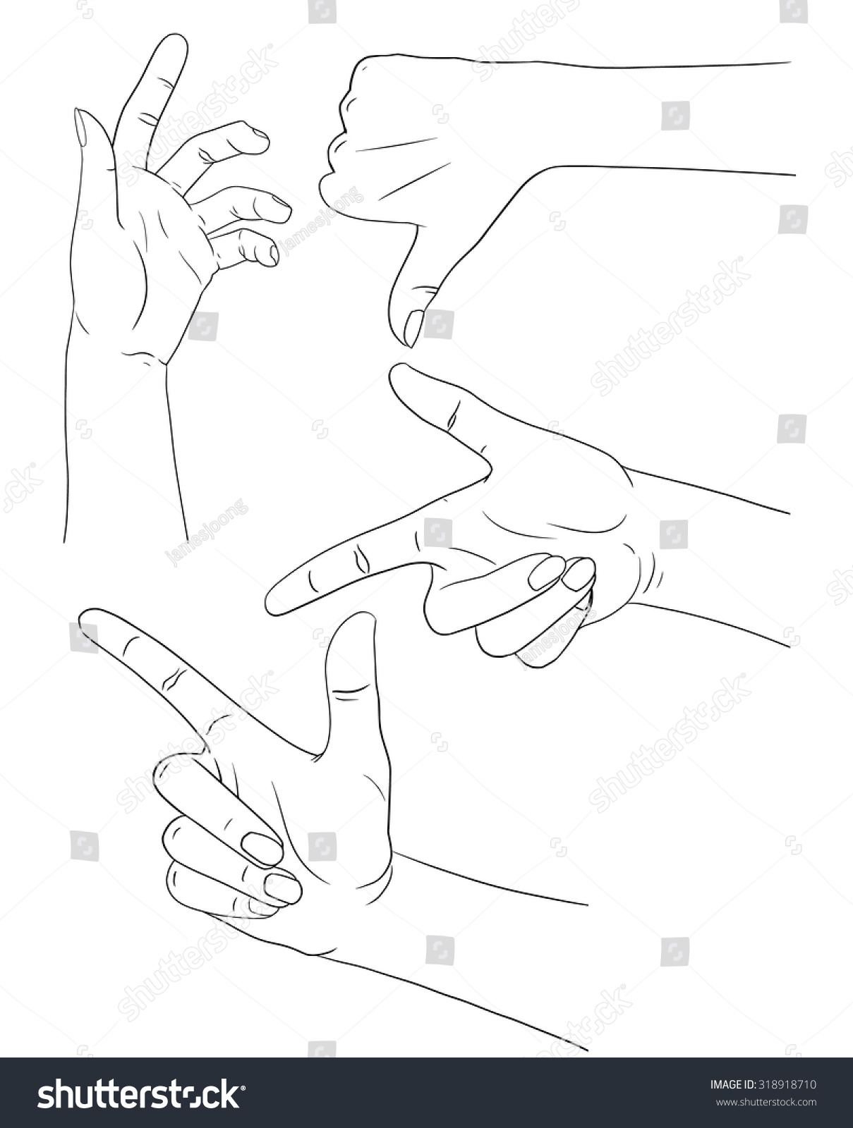 Hand Collection Vector Line Illustration Stock Vector (Royalty Free ...