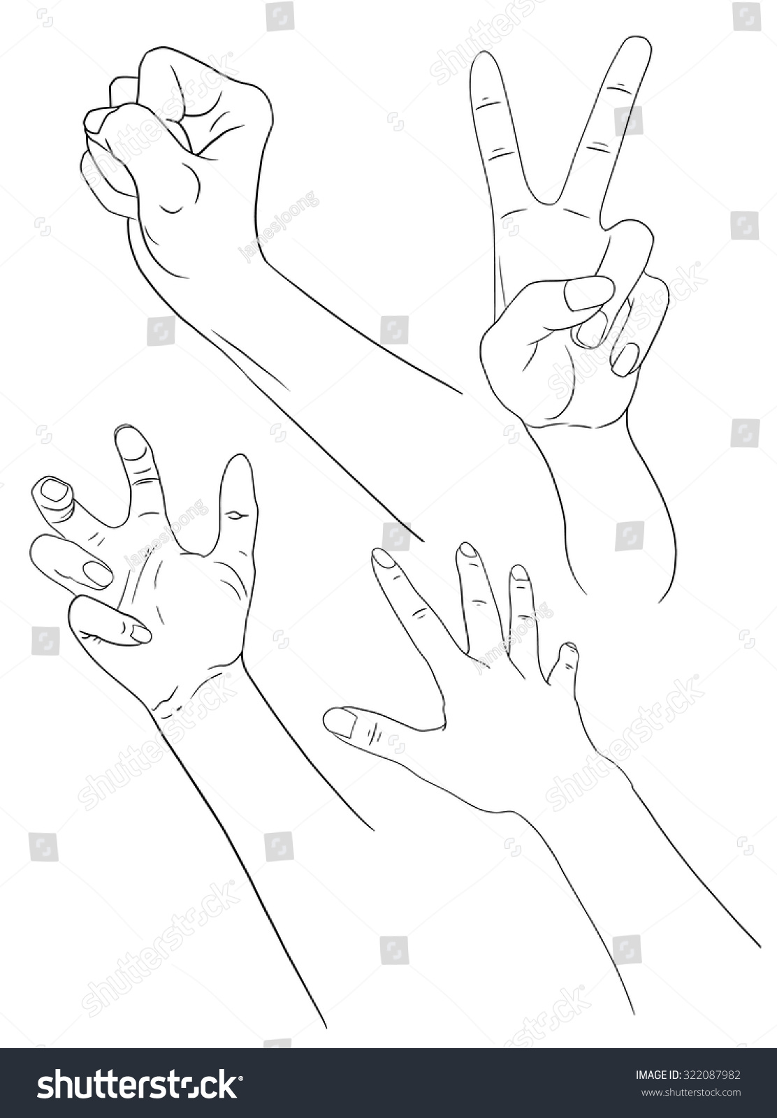 Hand Collection Vector Line Illustration Stock Vector (Royalty Free ...