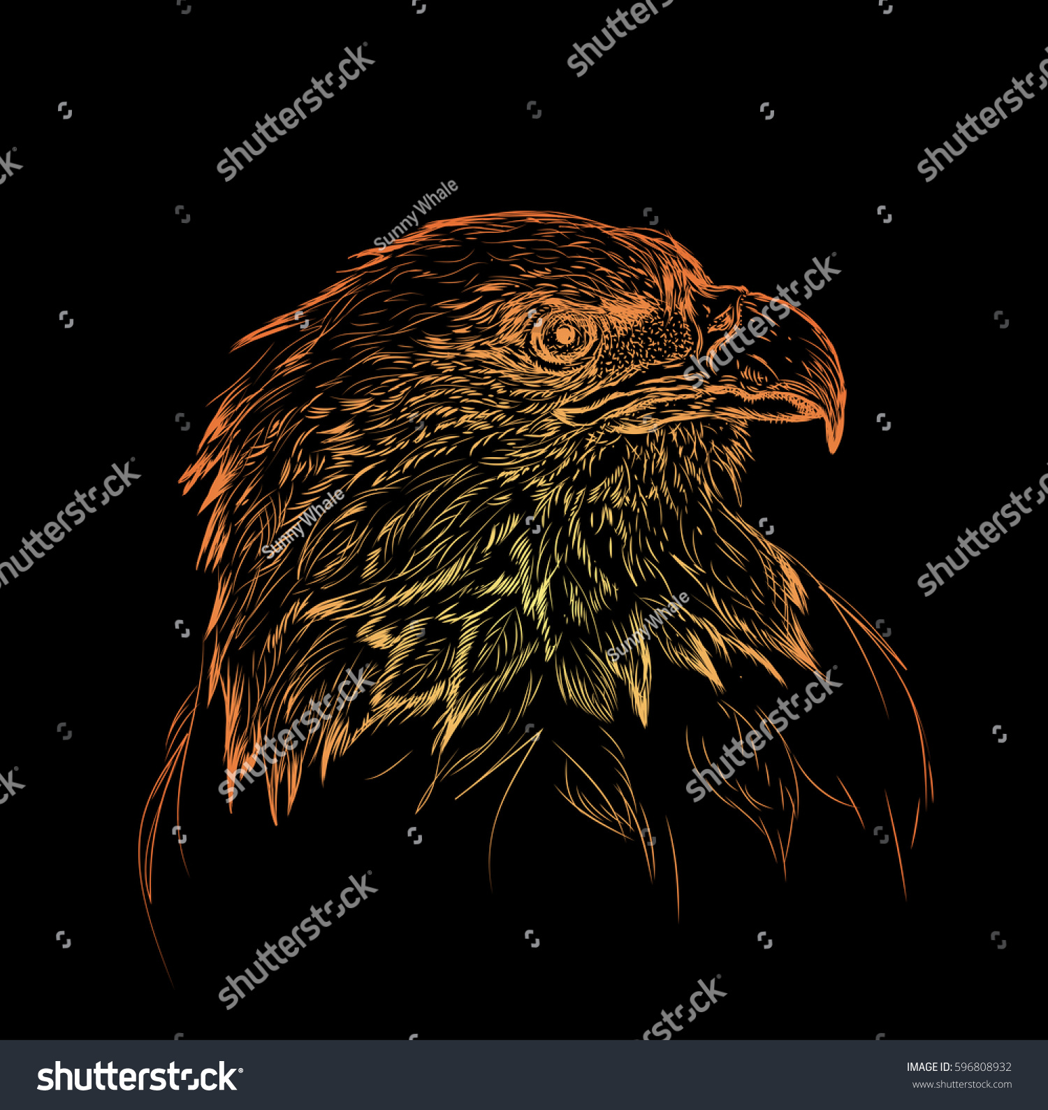 Hand Draw Eagle Portrait Hand Draw Stock Vector (Royalty Free ...