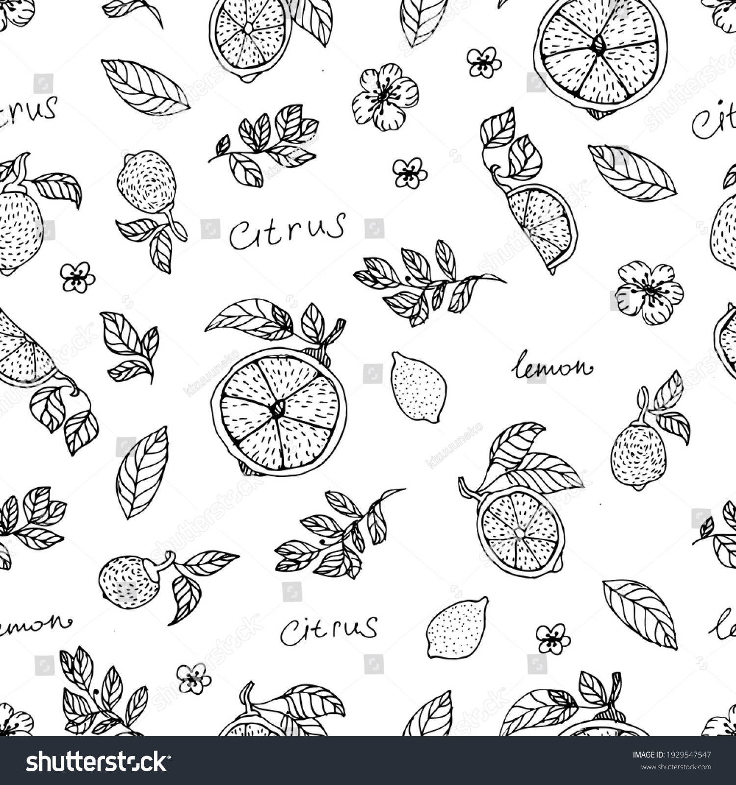 Hand Draw Lemon Seamless Pattern Background Stock Vector (Royalty Free ...