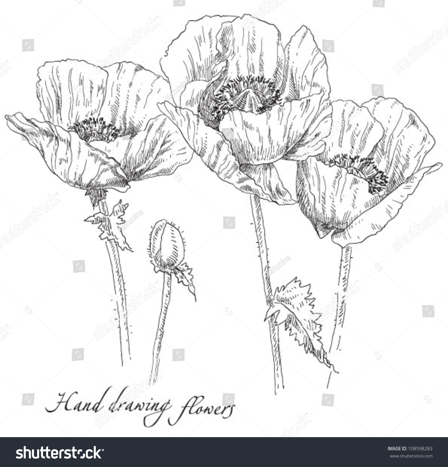 Hand Drawing Flower Stock Vector (Royalty Free) 108598283
