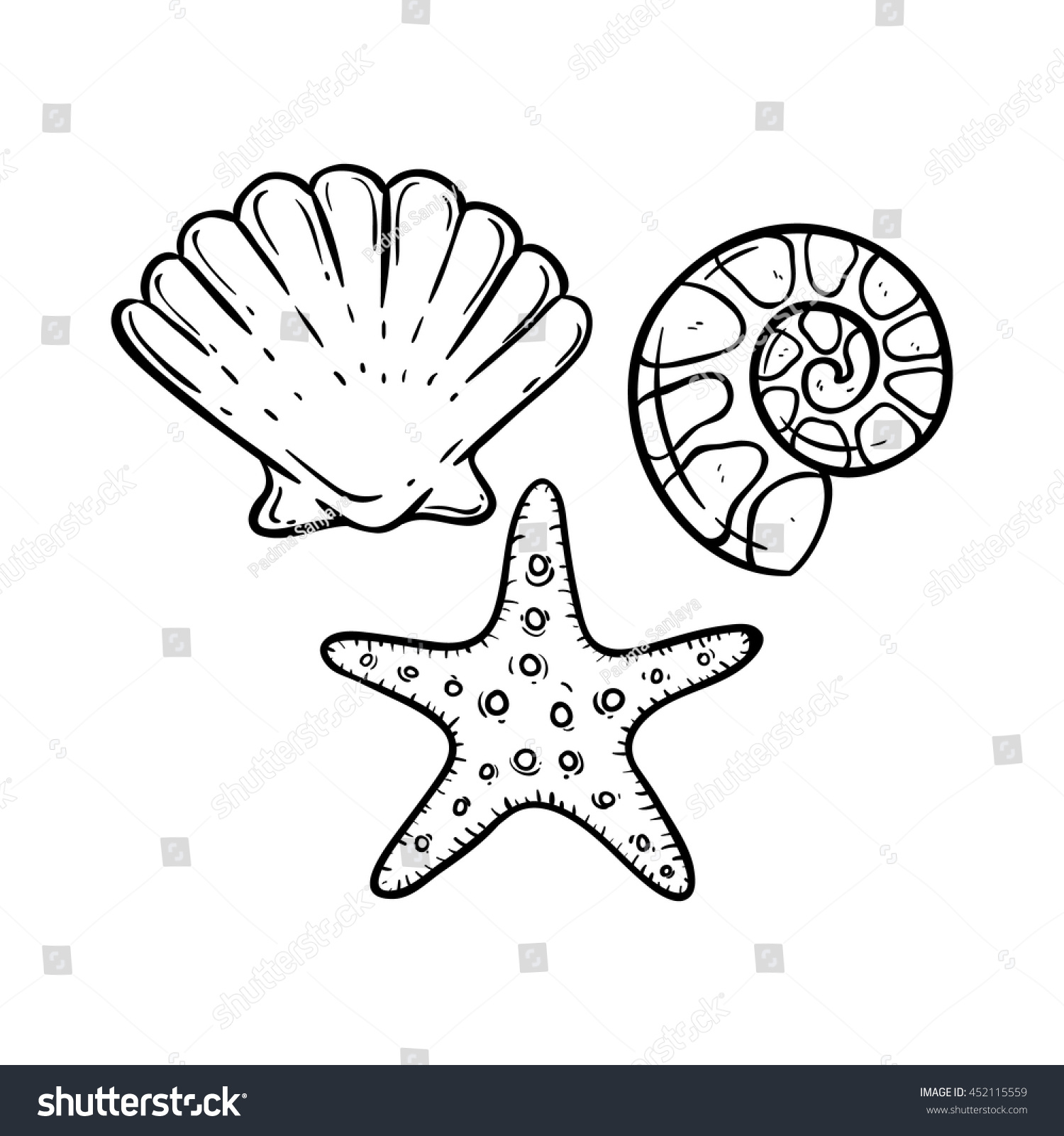 Hand Drawing Shell Outline On White Stock Vector (Royalty Free) 452115559