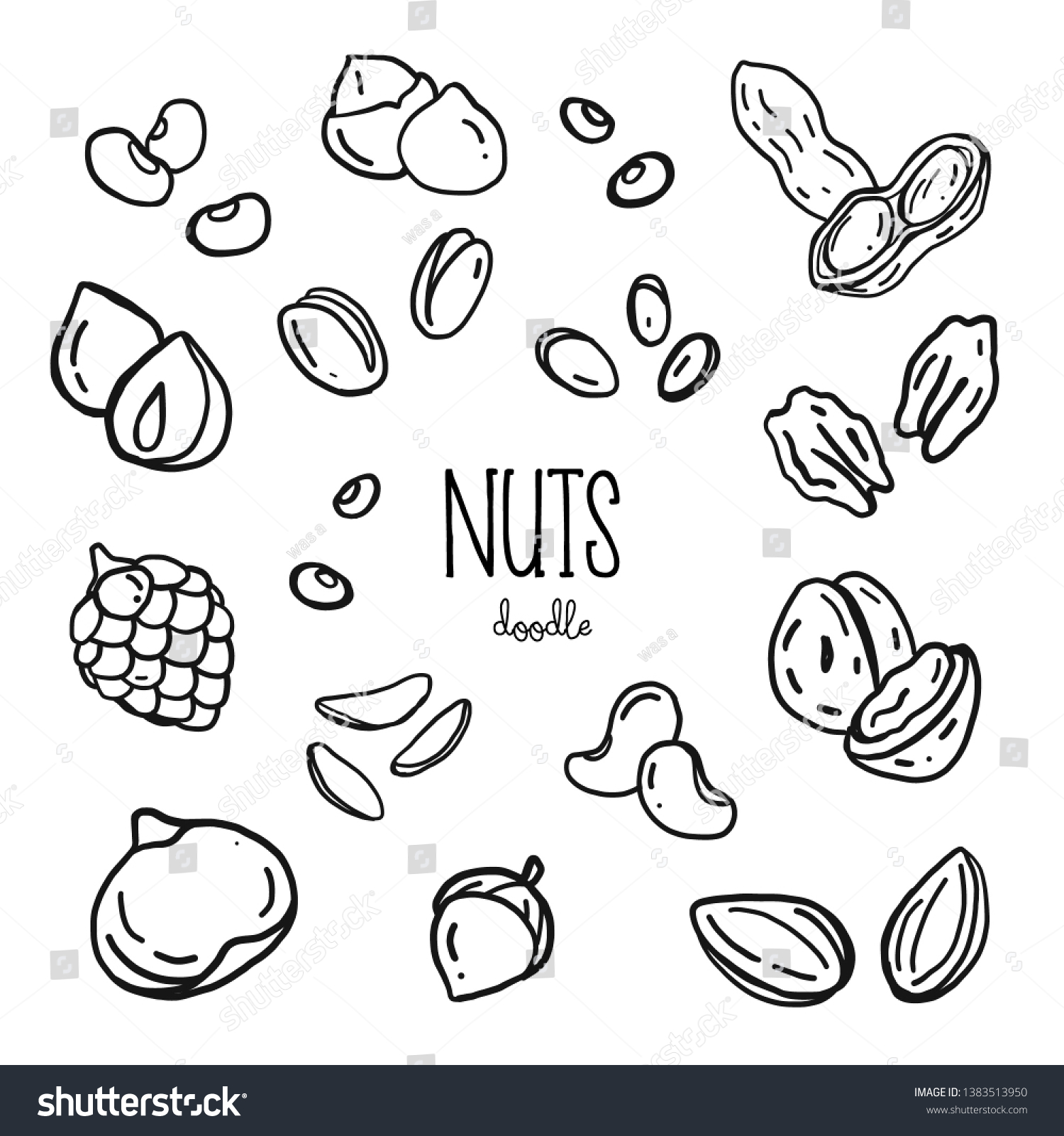 54,127 Nuts drawing Images, Stock Photos & Vectors | Shutterstock