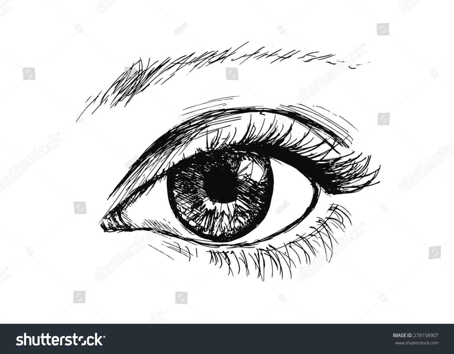 Hand Drawing Eye Stock Vector (Royalty Free) 278158907 | Shutterstock