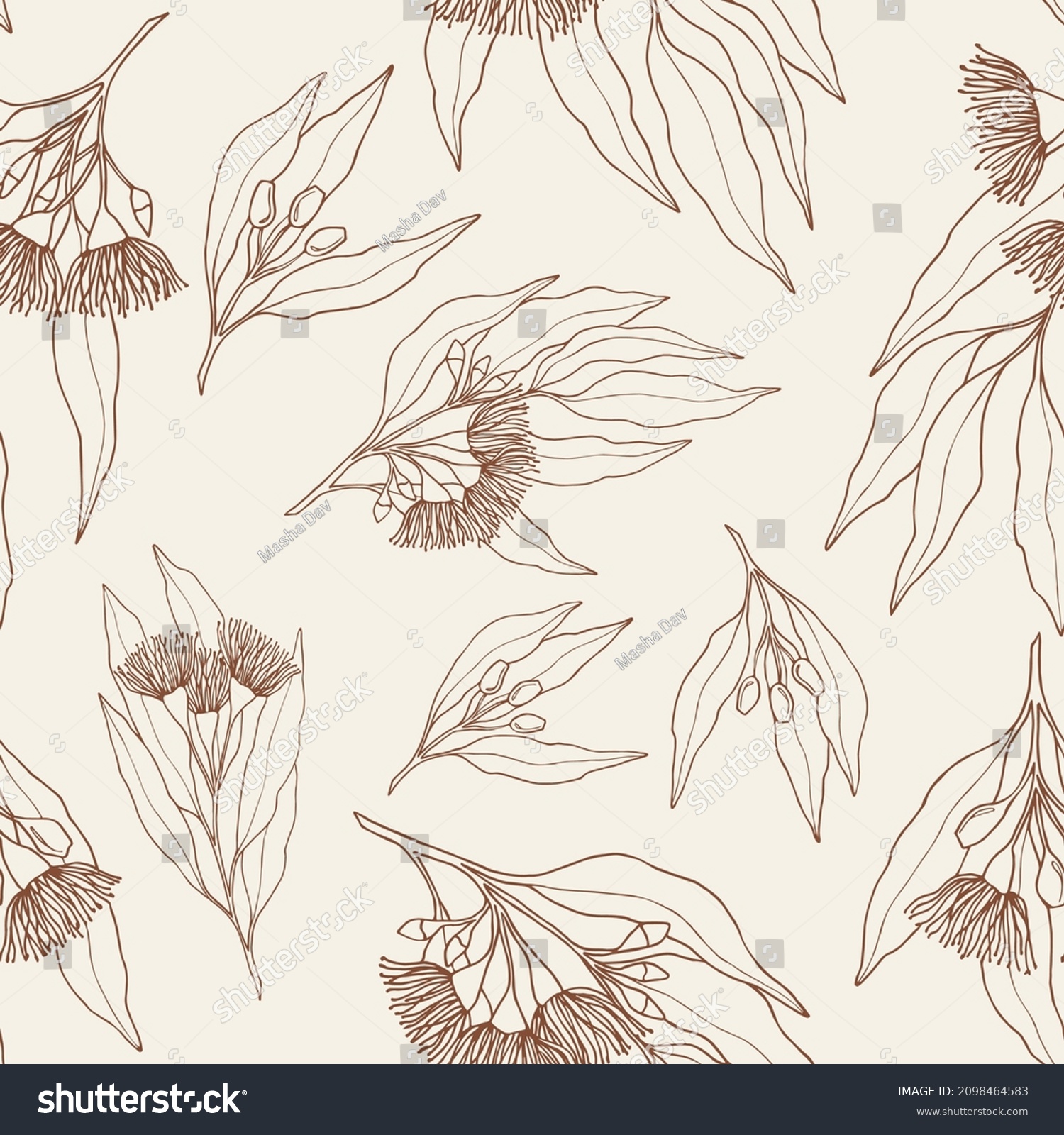 Hand Drawn Australian Eucalyptus Seamless Pattern Stock Vector (Royalty ...