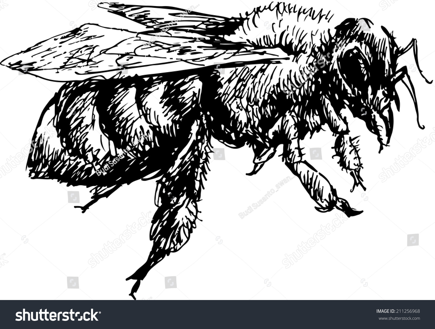 Hand Drawn Bee Stock Vector 211256968 : Shutterstock