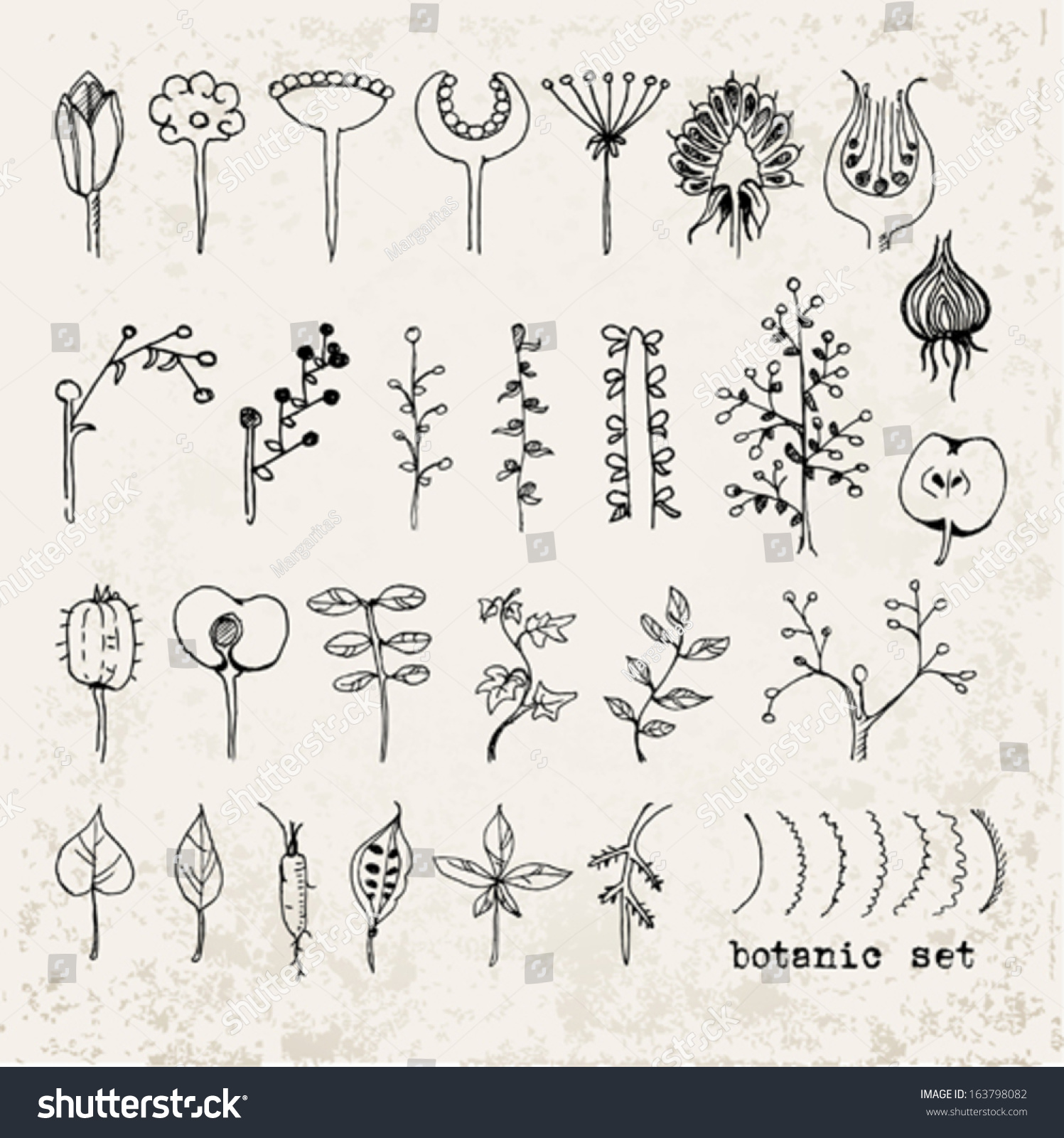 Hand Drawn Botanical Set: vector de stock (libre de regalías) 163798082 ...