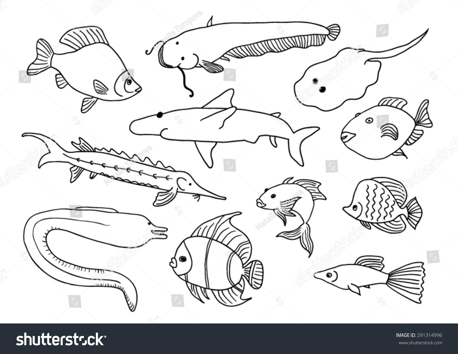 Hand Drawn Cartoon Fish Set 스톡 벡터(로열티 프리) 291314996 | Shutterstock
