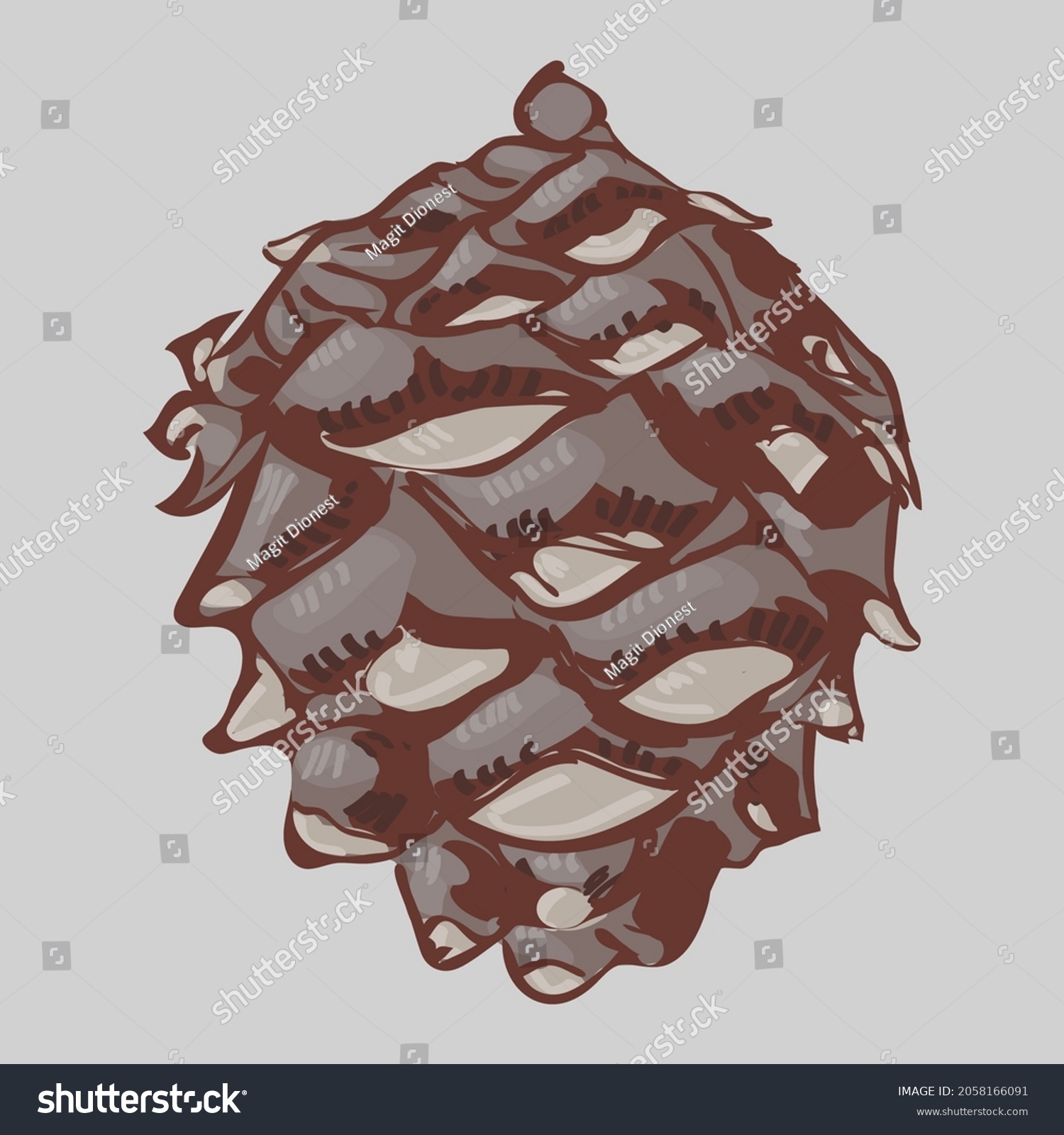 Hand Drawn Cedar Cone Vector Version Stock Vector (Royalty Free ...
