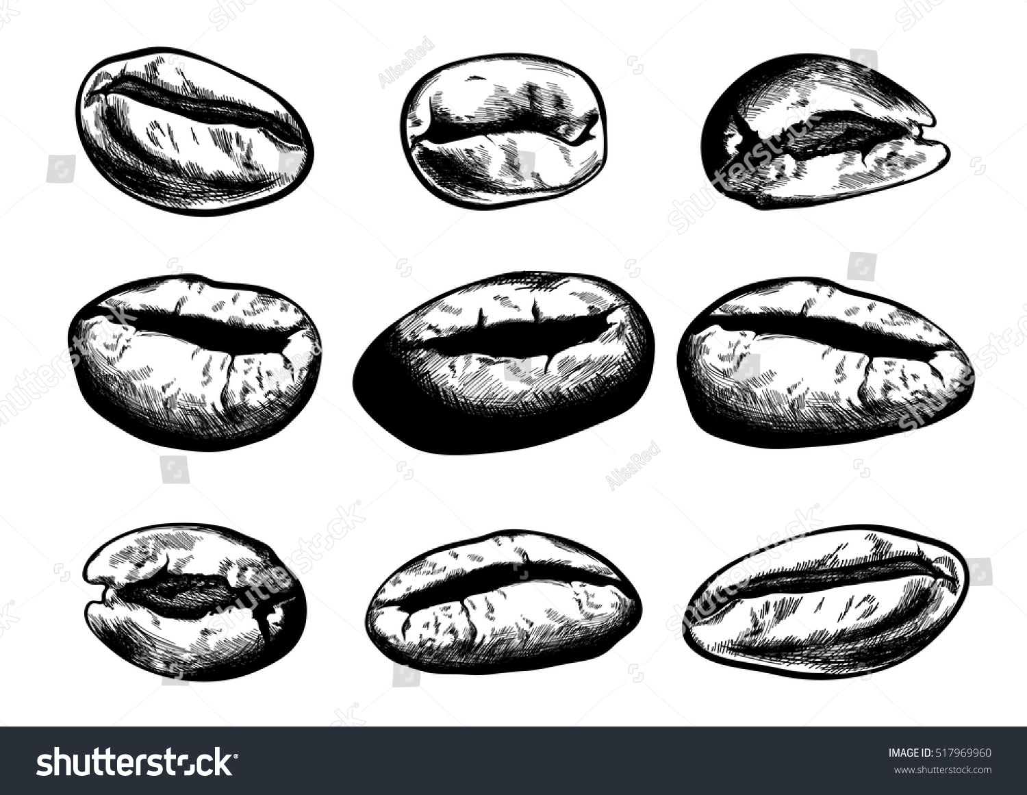 Hand Drawn Coffee Beans Set Vector Stock Vector (Royalty Free) 517969960