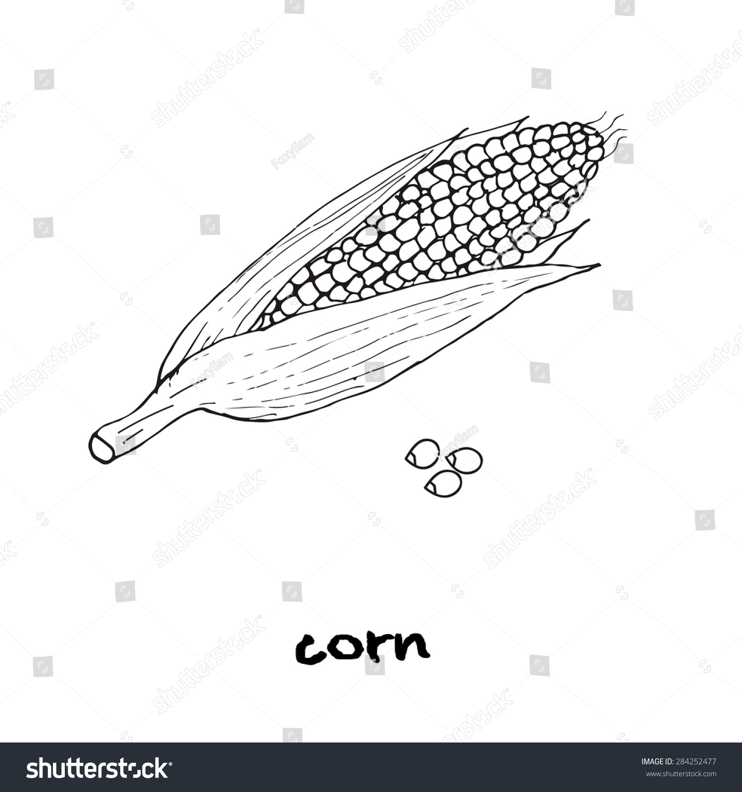 Hand Drawn Corn Vector Illustration Stock Vector (Royalty Free ...