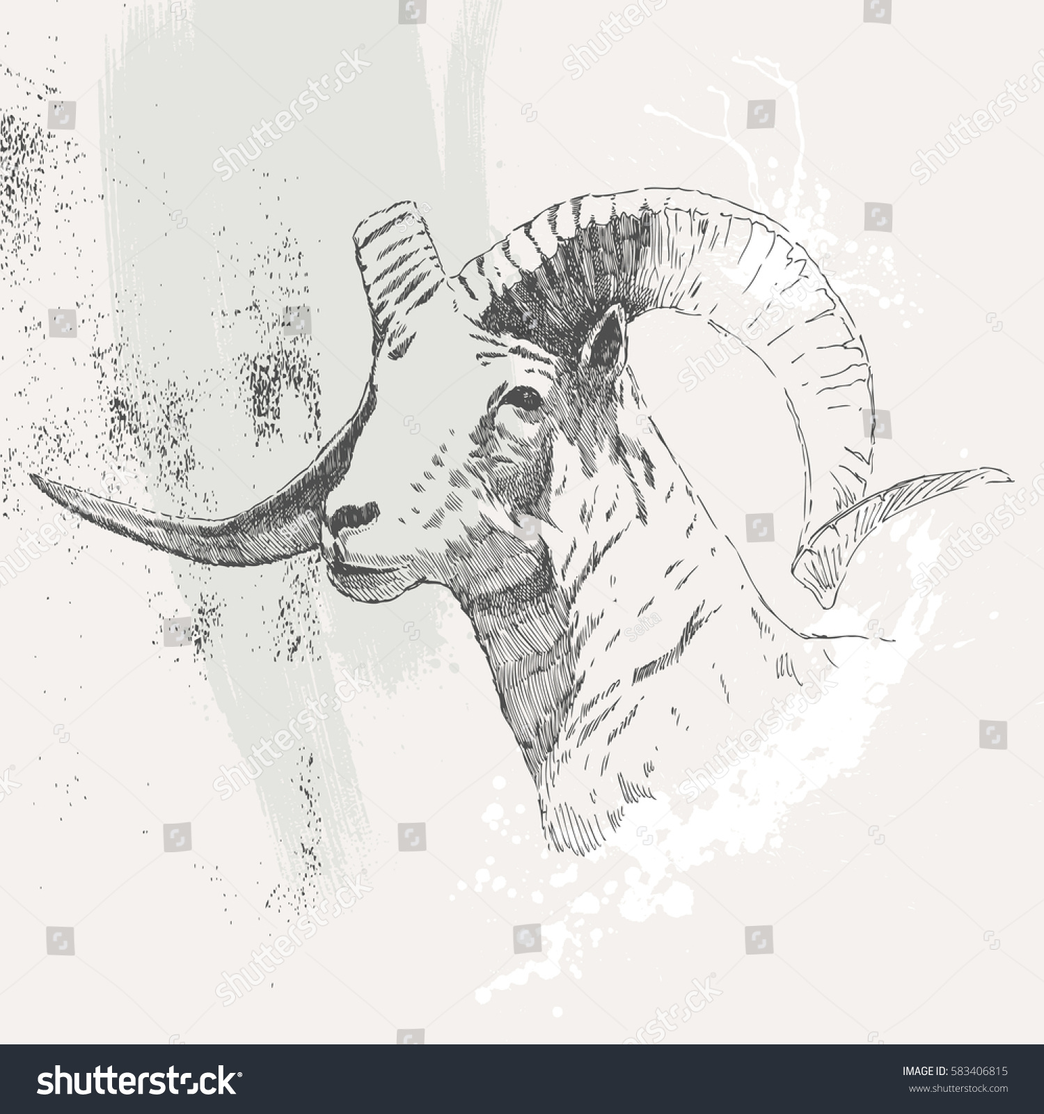Hand Drawn Dall Sheep Ram Vector Stock Vector (Royalty Free) 583406815