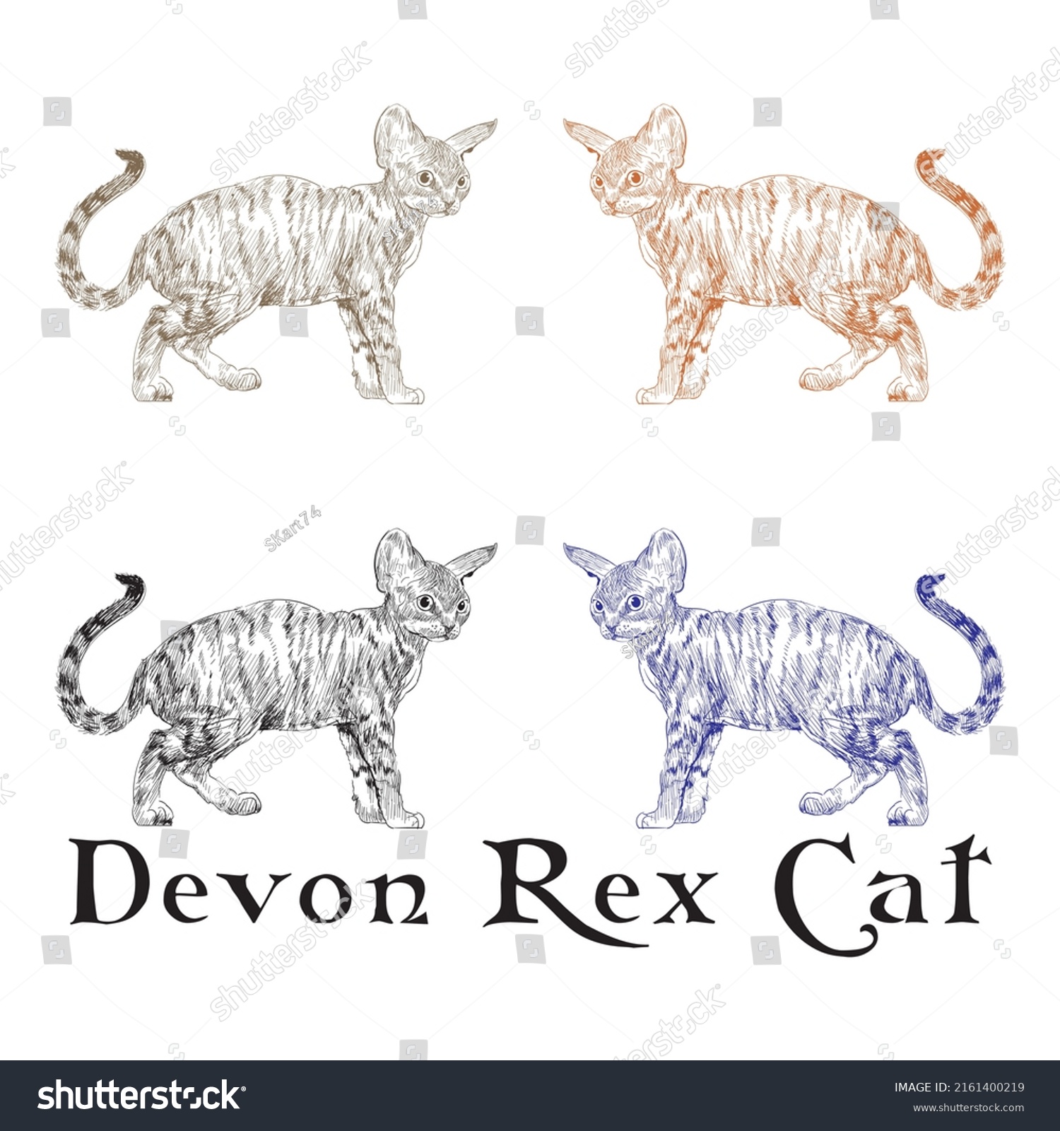 Hand Drawn Devon Rex Cat Vector Stock Vector (Royalty Free) 2161400219 ...