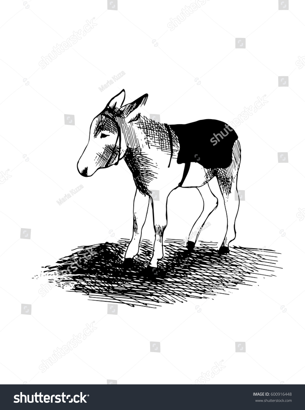 Hand Drawn Donkey Vector Illustration Stock Vector (Royalty Free ...