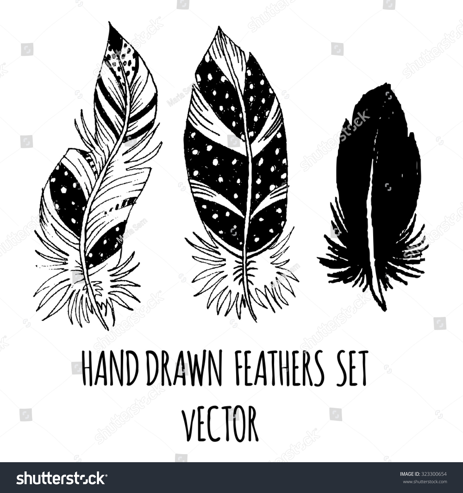 Hand Drawn Feathers Vector Set Stock Vector (Royalty Free) 323300654 ...