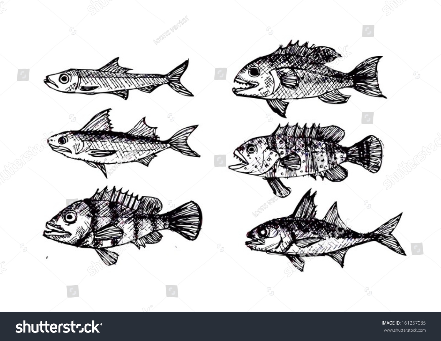 Hand Drawn Fish Vector Illustration Stock Vector (Royalty Free) 161257085